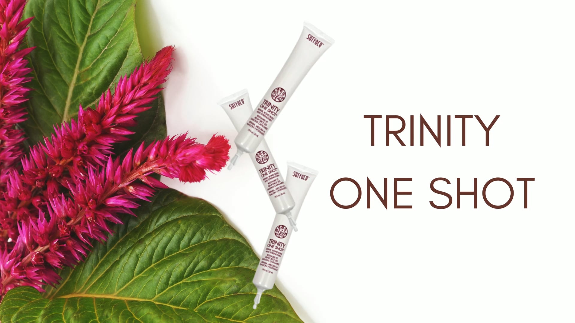 Trinity One Shot-Show Tell Sell - Training Video