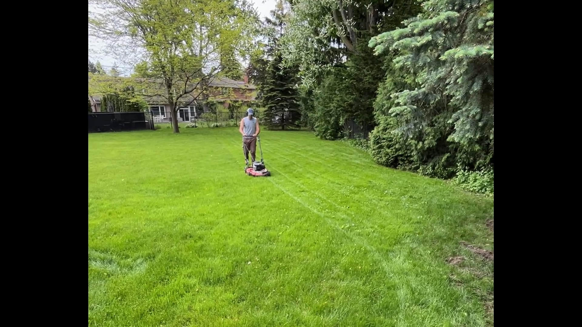 Mow and Grow Lawn Care Services