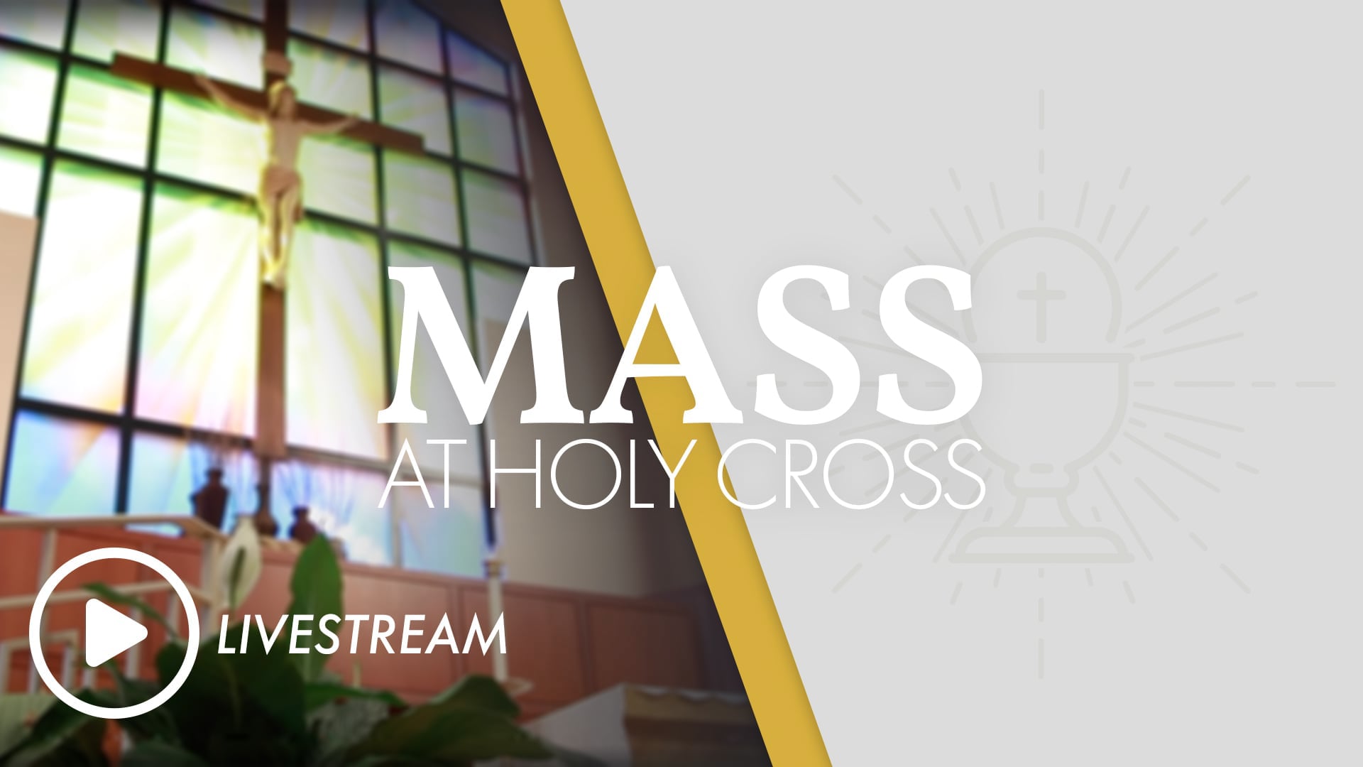 Holy Cross Livestream Archive - Friday, May 30, 2025 on Vimeo