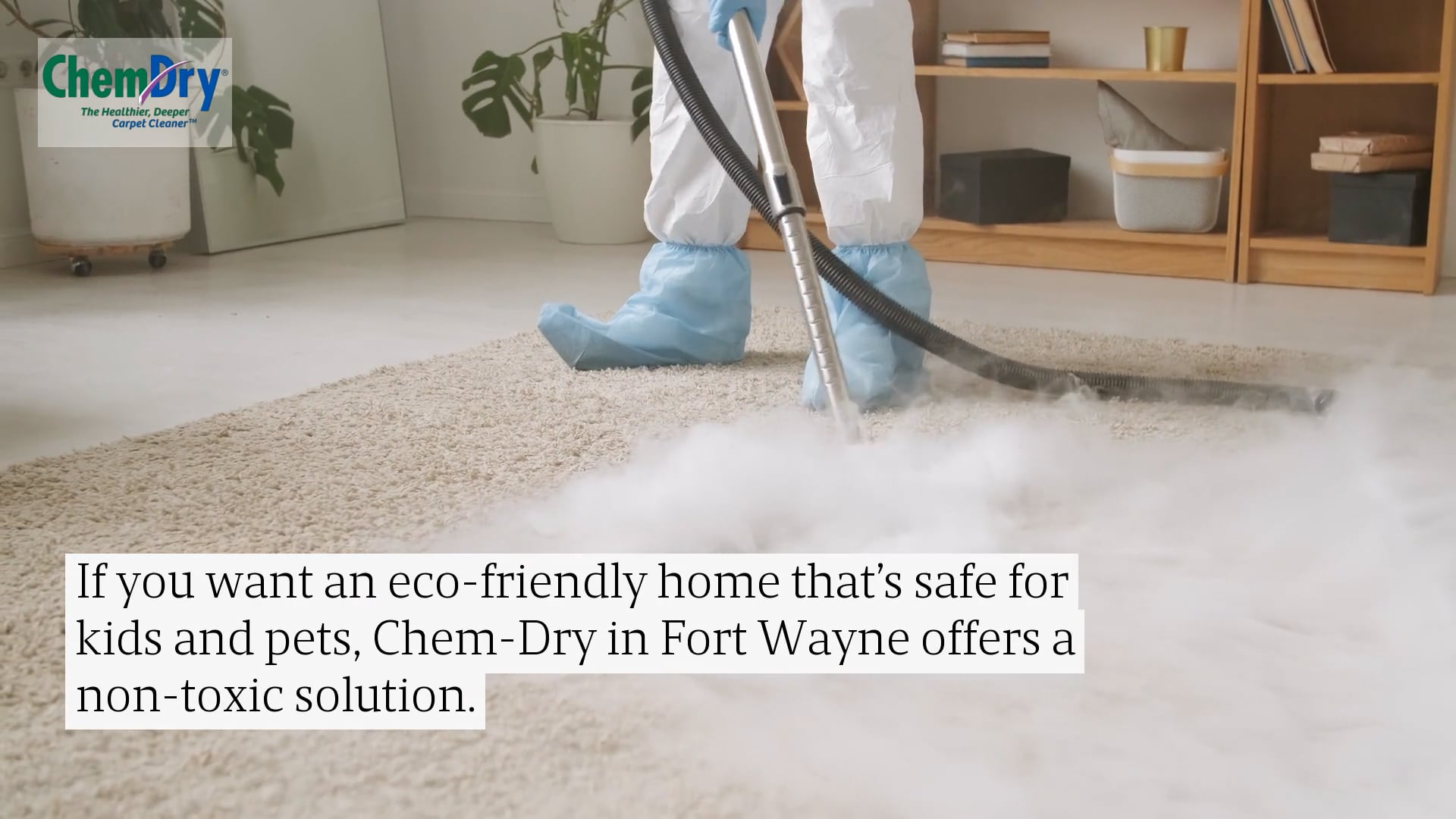 Pet-Safe Carpet Cleaning & Eco-Friendly Odor Removal For Upholstery in ...