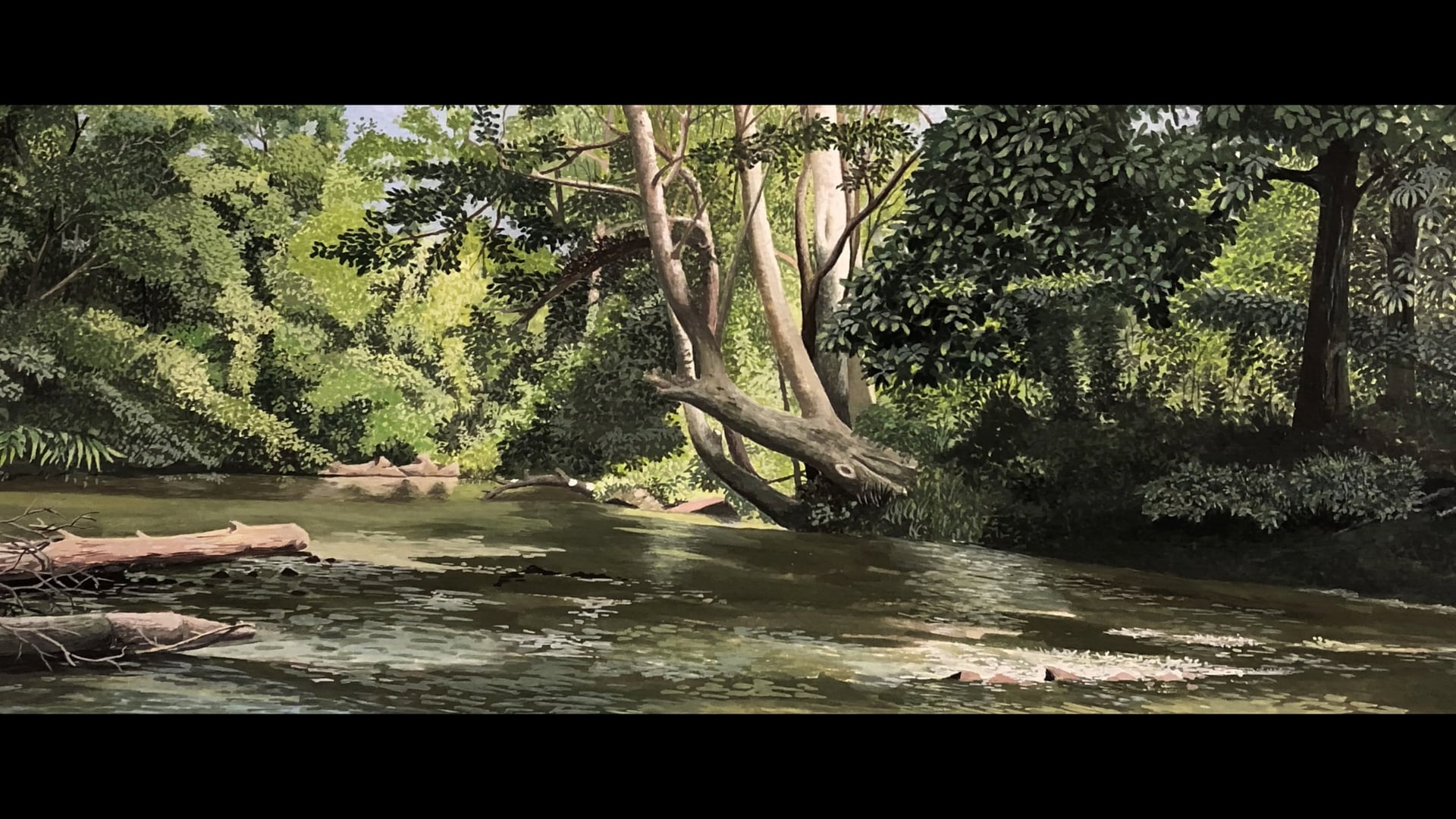 Wad - Official Trailer (EDITOR)