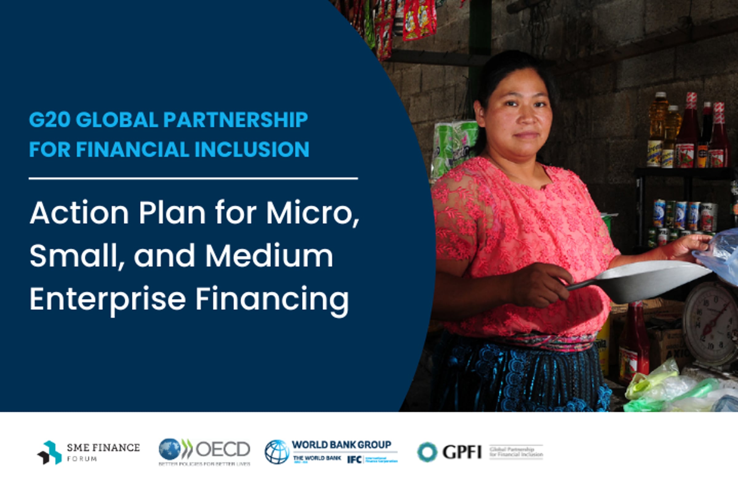 G20 Global Partnership for Financial Inclusion - Action Plan for Micro, Small, and Medium ...