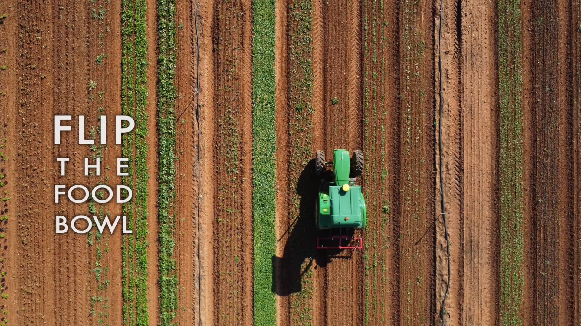 FLIP THE FOOD BOWL - teaser (1.35)