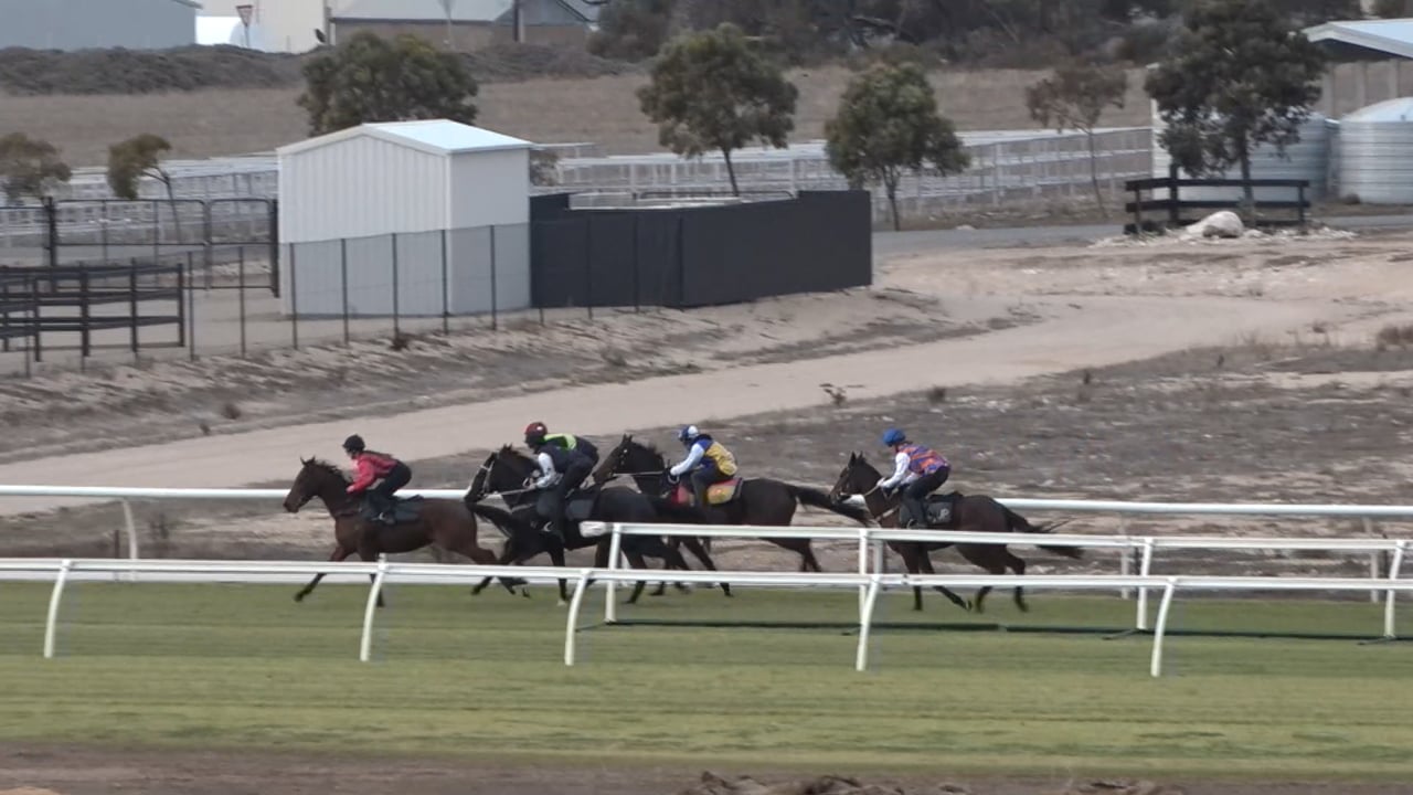 02/06/2025 Murray Bridge • Racing SA