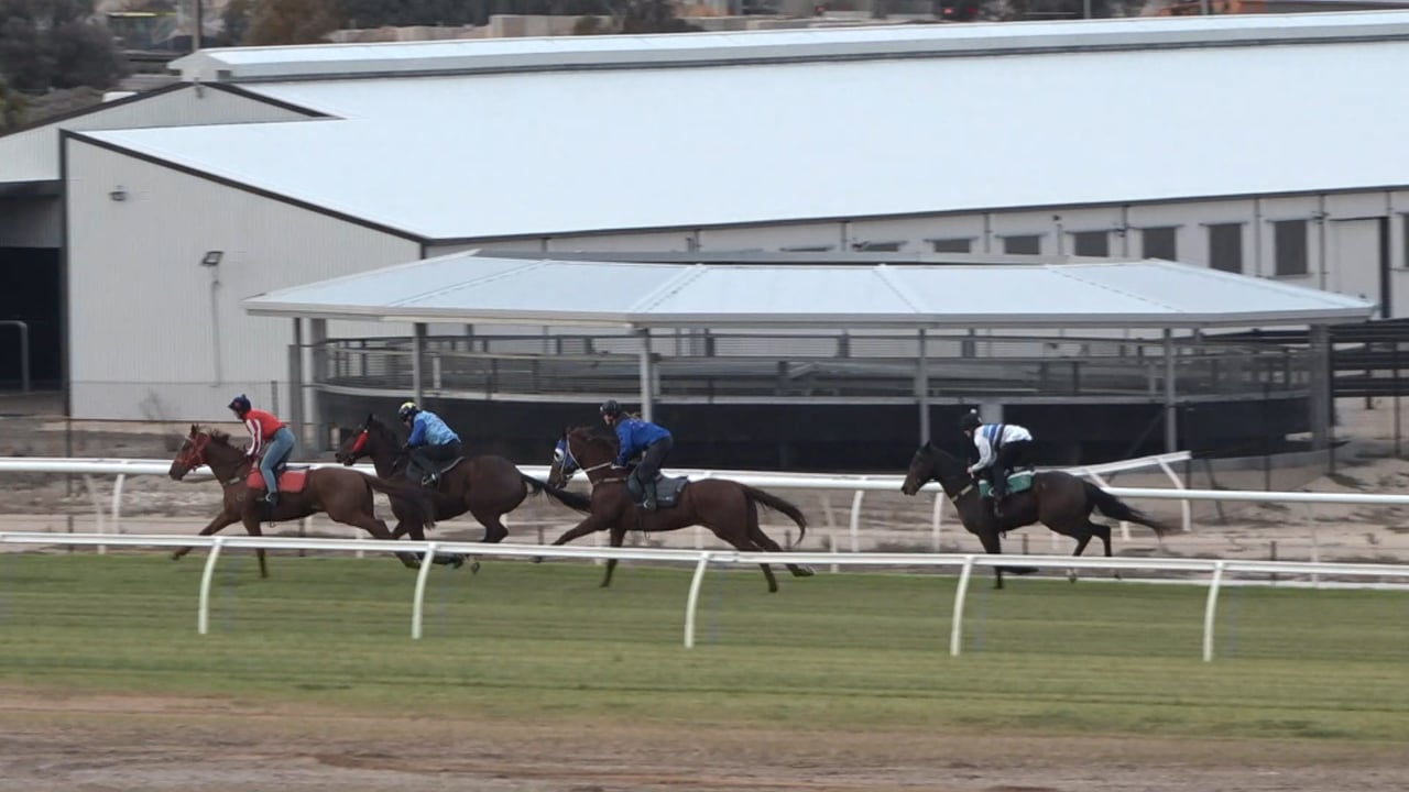 02/06/2025 Murray Bridge • Racing SA