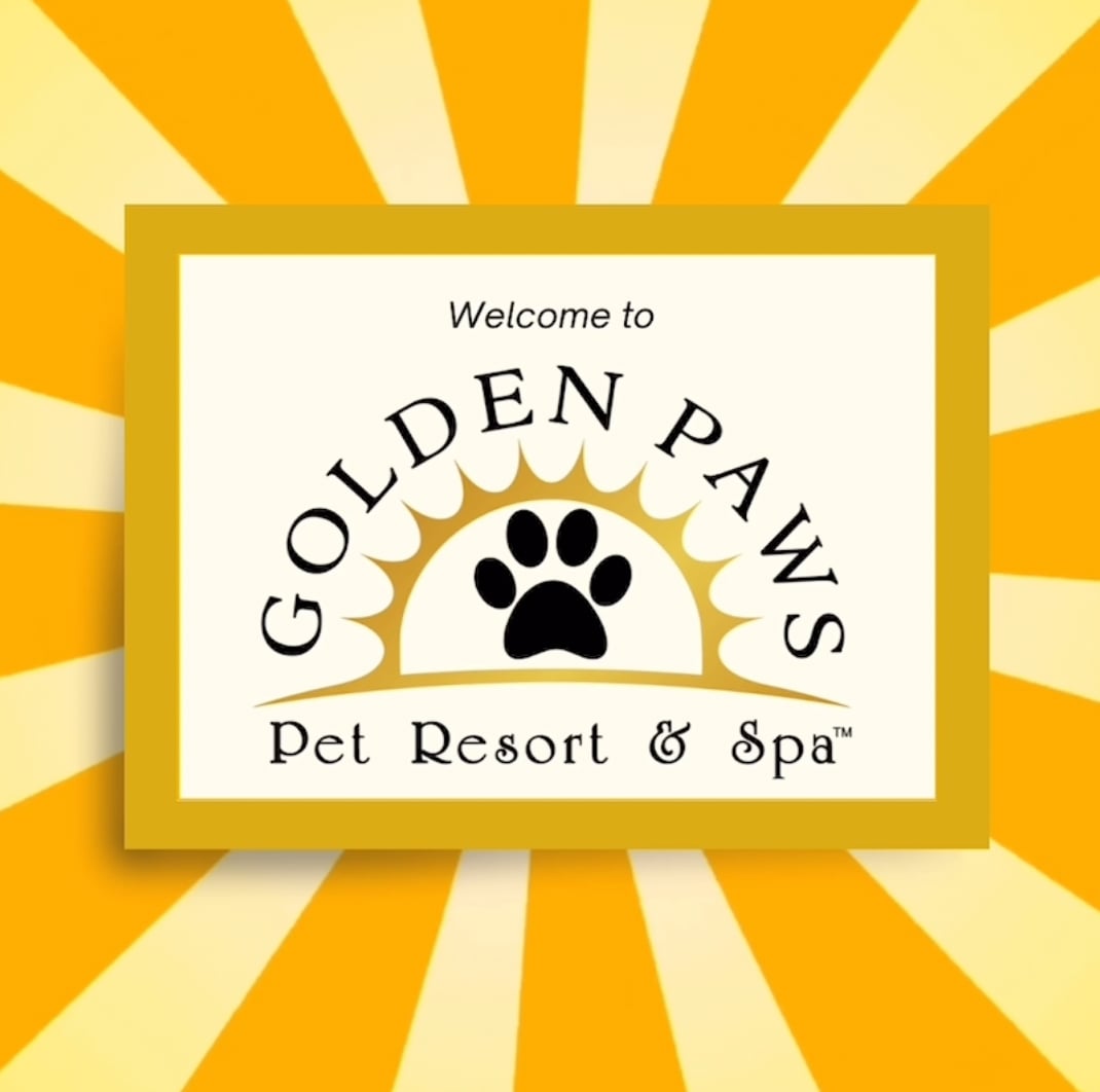 Welcome to Golden Paws!