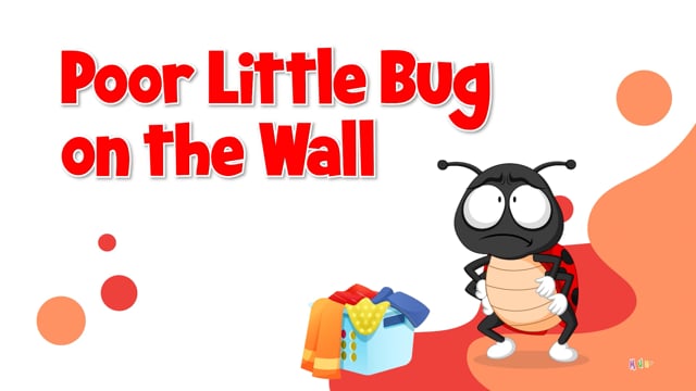 Poor Little Bug on the Wall | MusicplayOnline