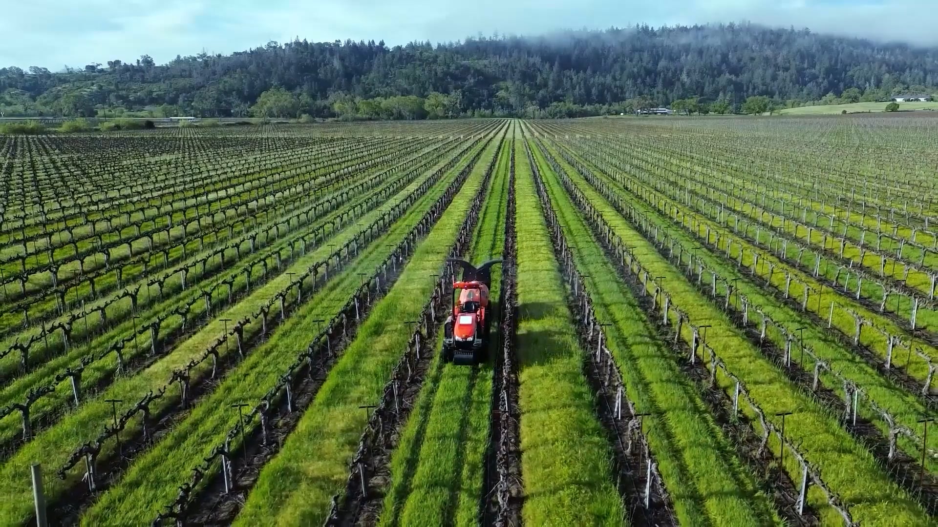 Automation in Action: Meet the Agtonomy-Enabled M5N