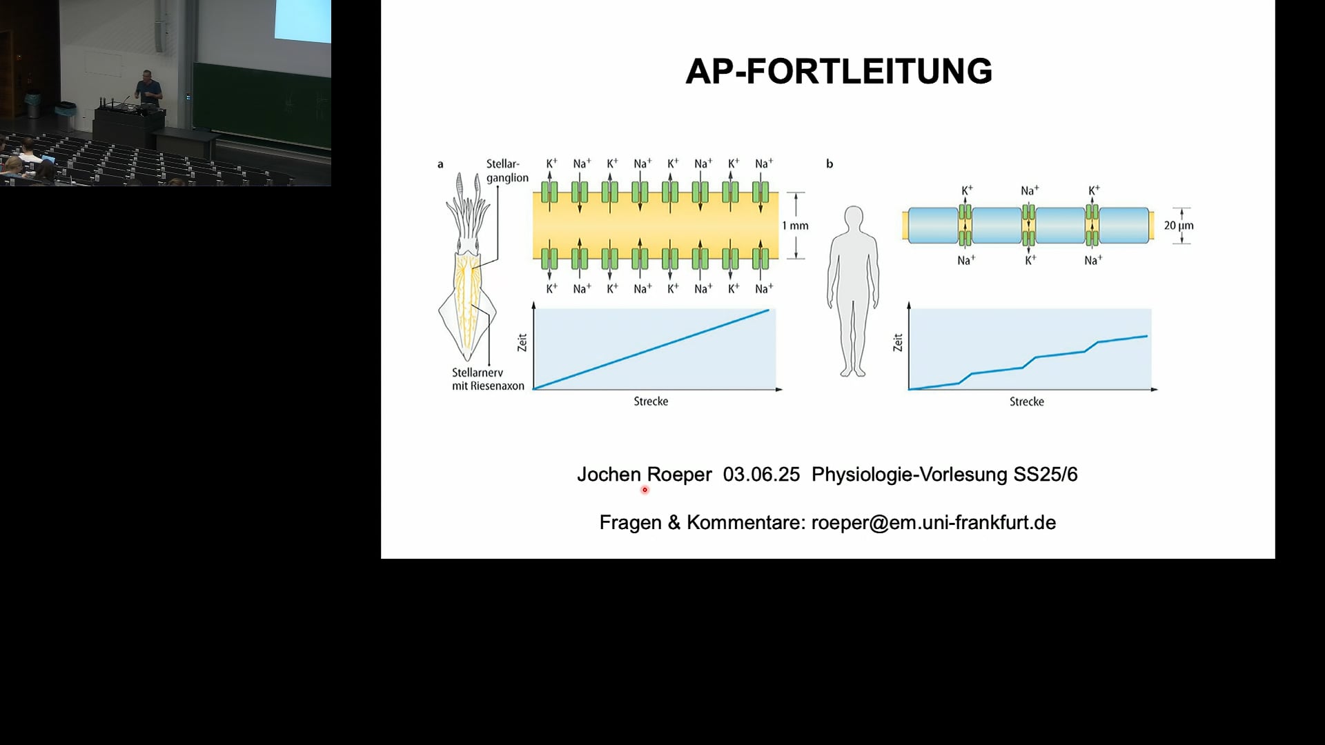 PhysioVL_AP_FORTLEITUNG_SS25