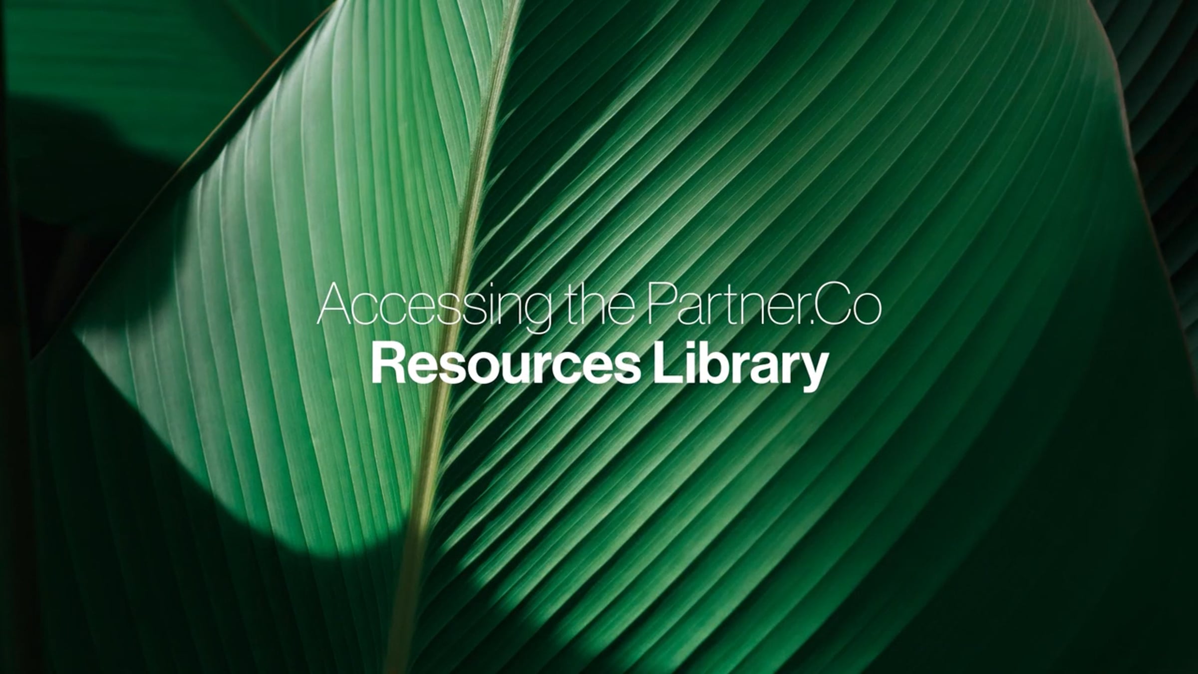 How to Find the Partner.Co Resources Library