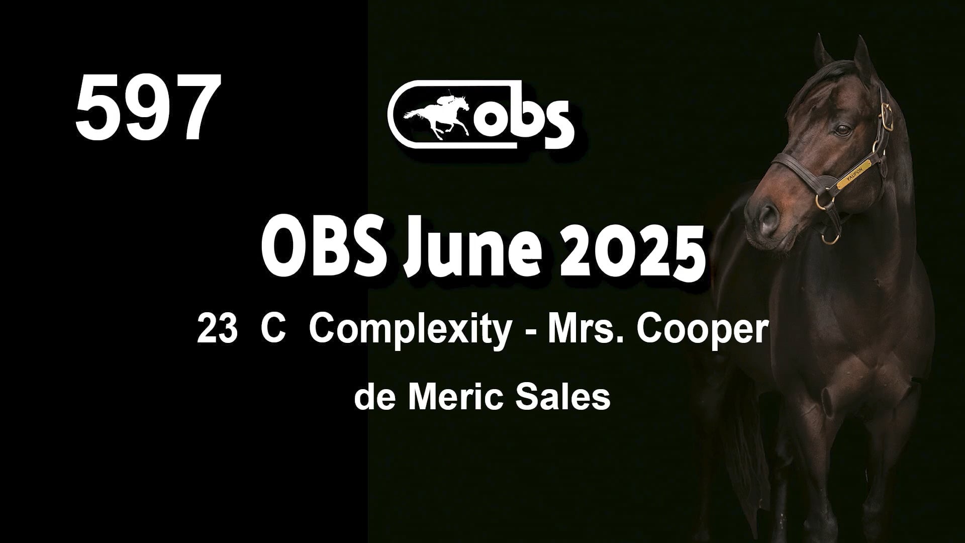 OBSJUN25, Hip 597, c. Complexity - Mrs. Cooper 23_1