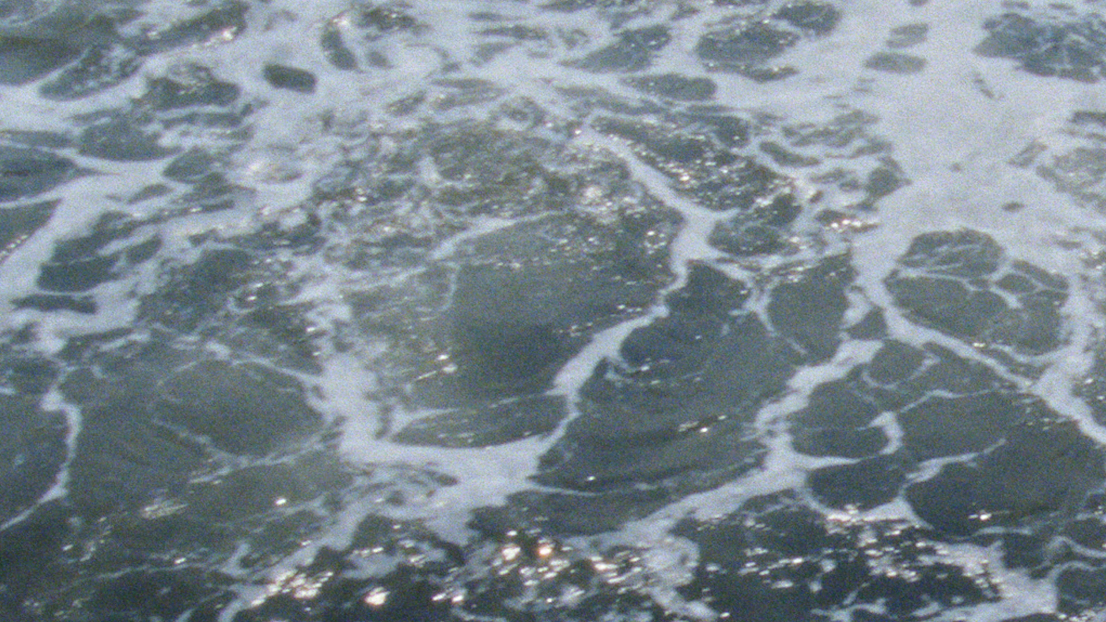 Addison Rae - "Times Like These" MV