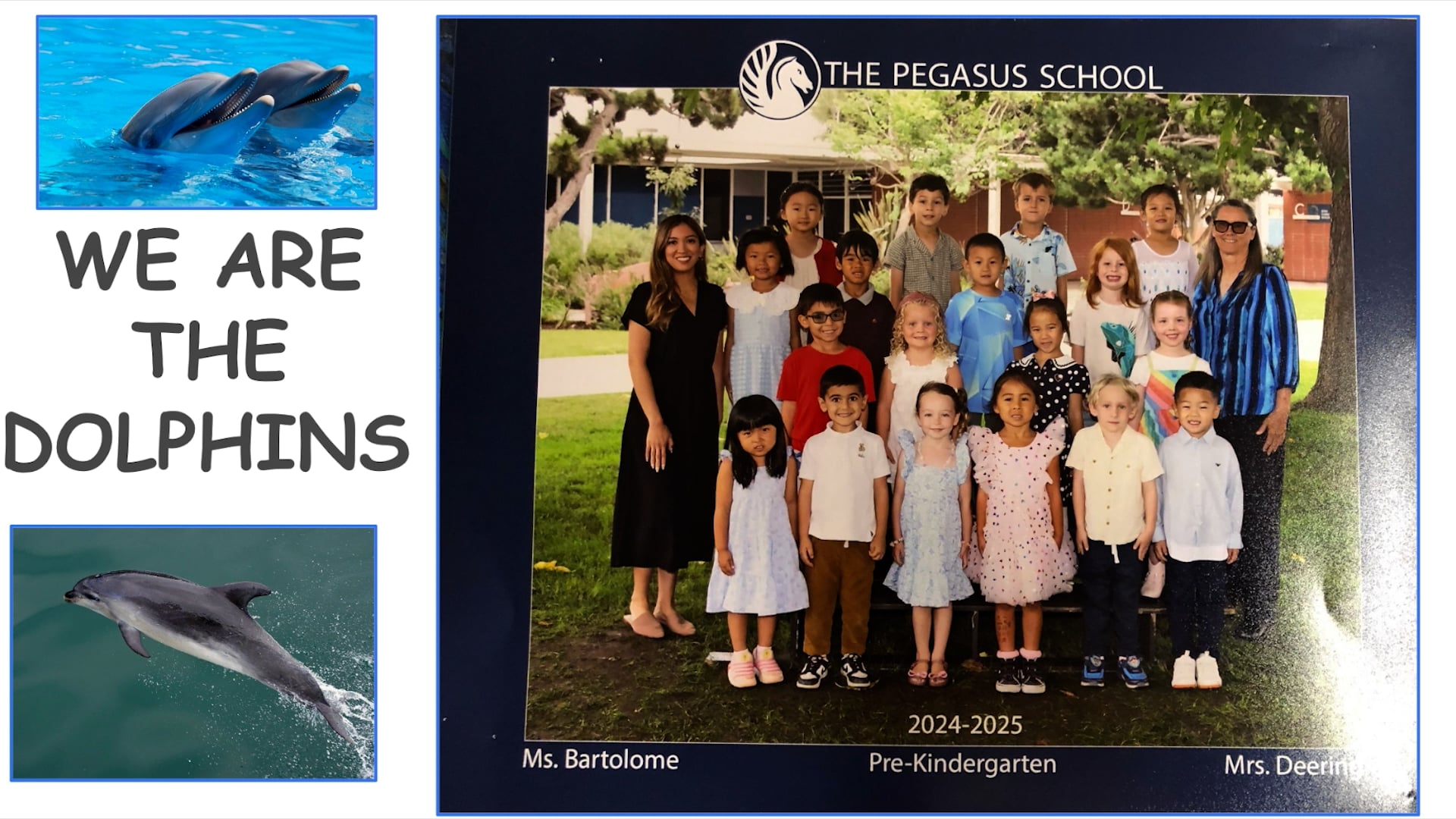 Dolphins Grad 2025