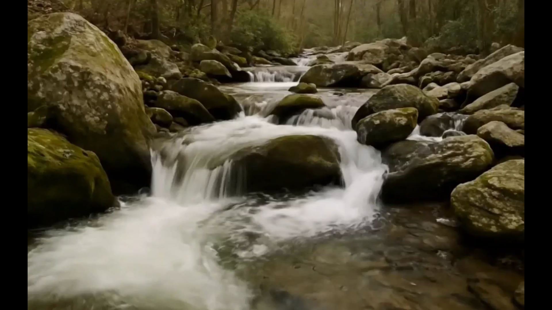 Bach Country Classical