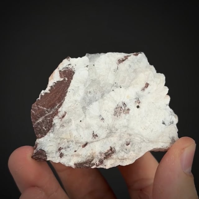 Sellaite (rare halide) Soregaroli Coll. | Clara Mine, Oberwolfach ...