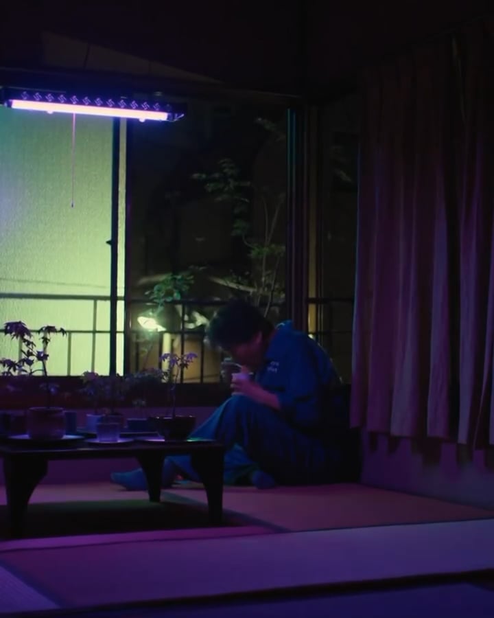 Perfect Days by Wim Wenders