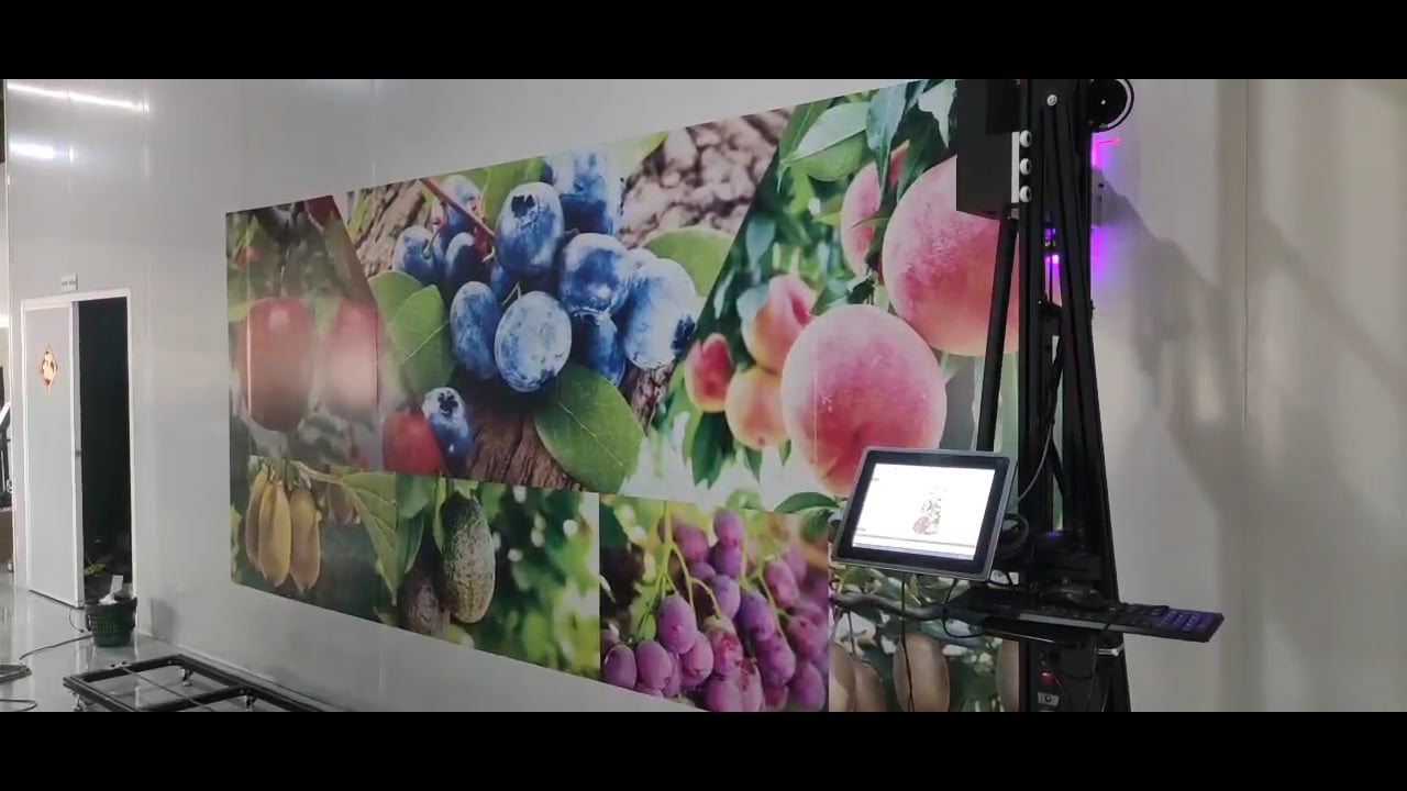 Professional wall printing for Stunning Wall Art