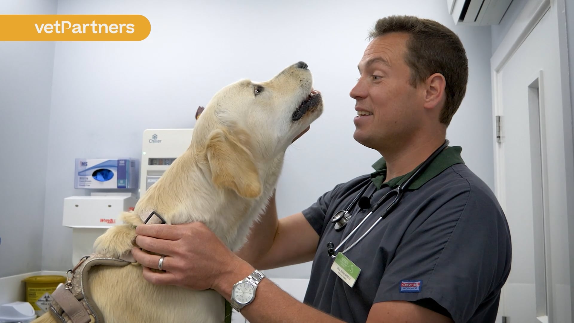 Care of pets above all else - Abbey Veterinary Centres, VetPartners