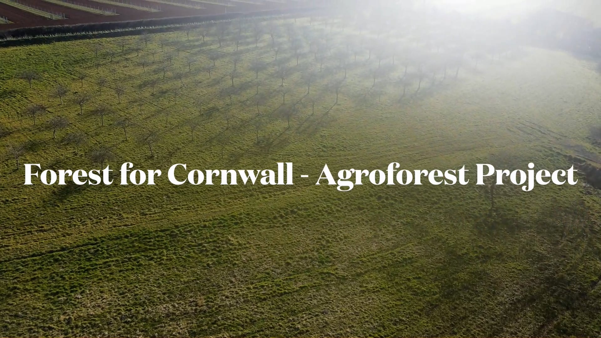Forest for Cornwall Agroforestry Project (short)