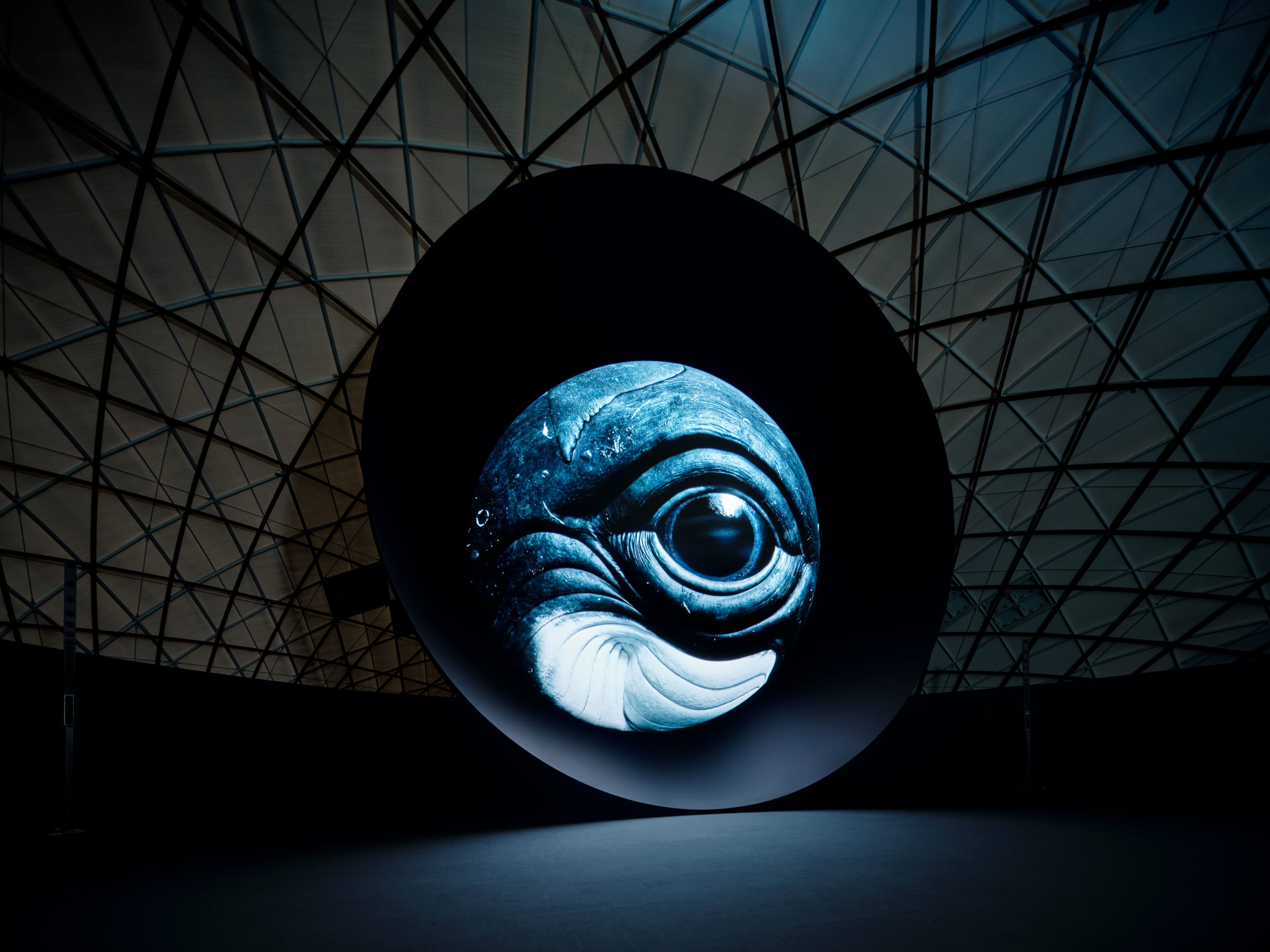 Expo 2025 Osaka “BLUE OCEAN DOME”