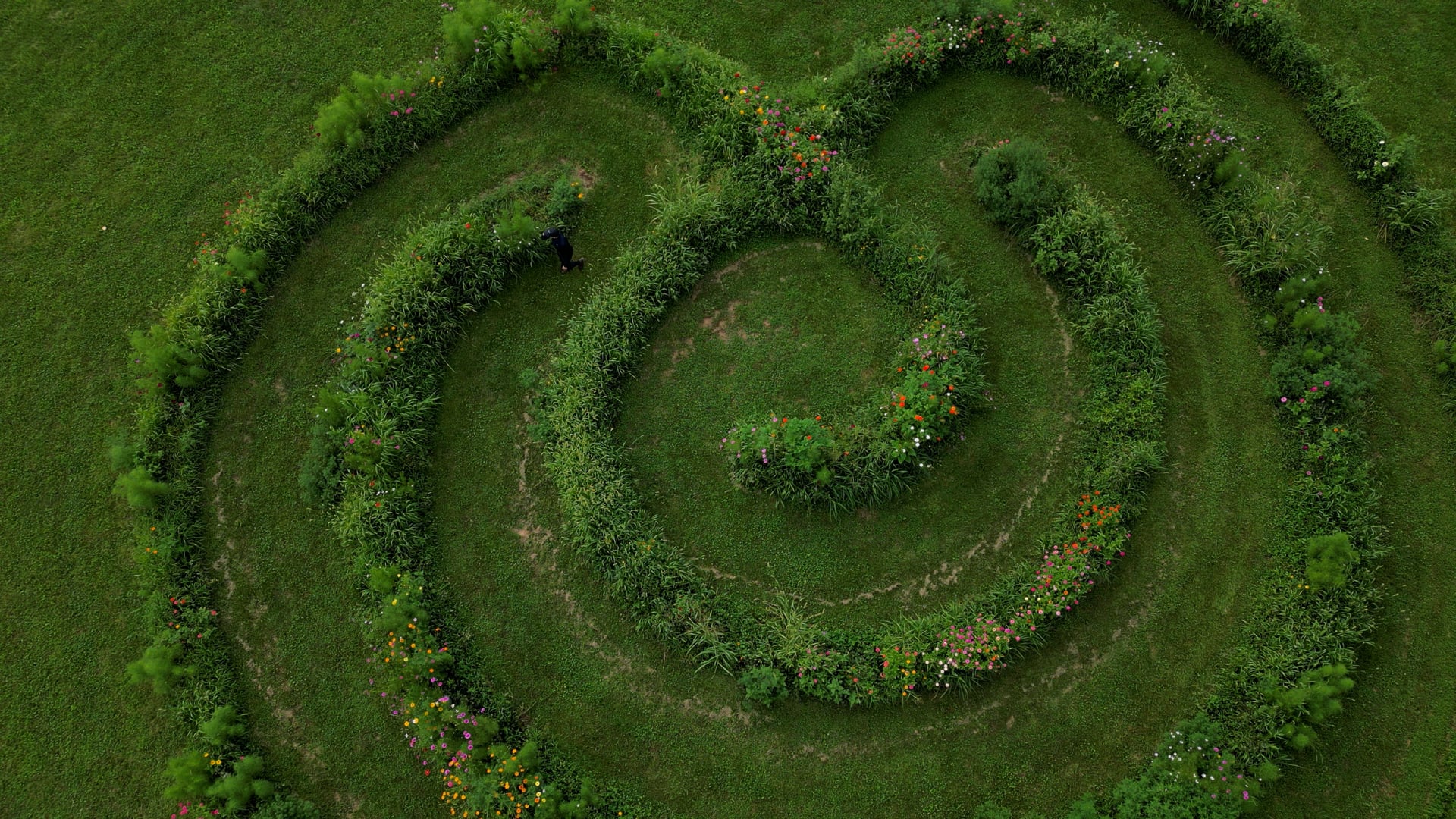 Living Labyrinth, Inc