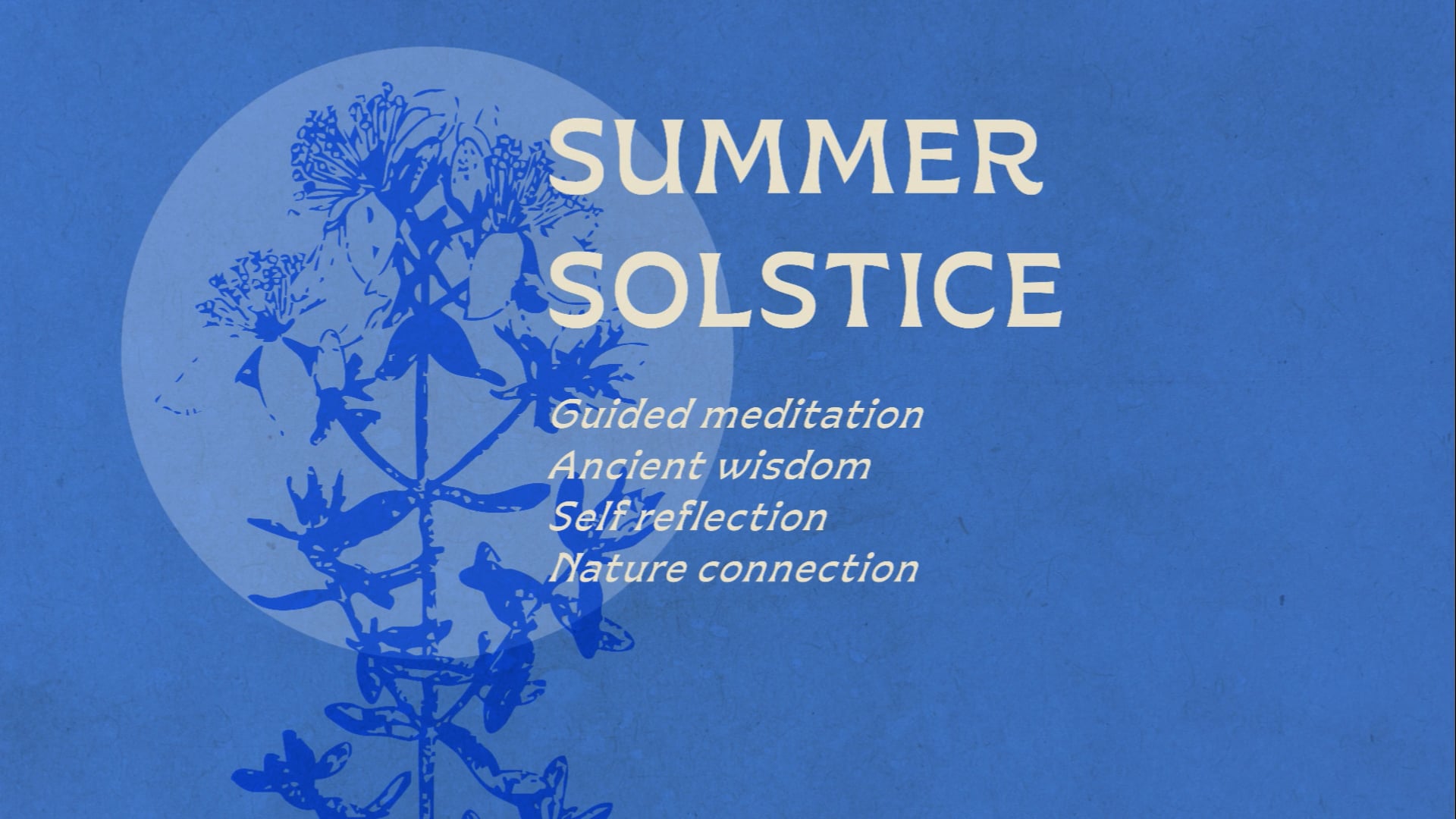 Summer Solstice Celebration: Guided Meditation, Nature Connection and ...