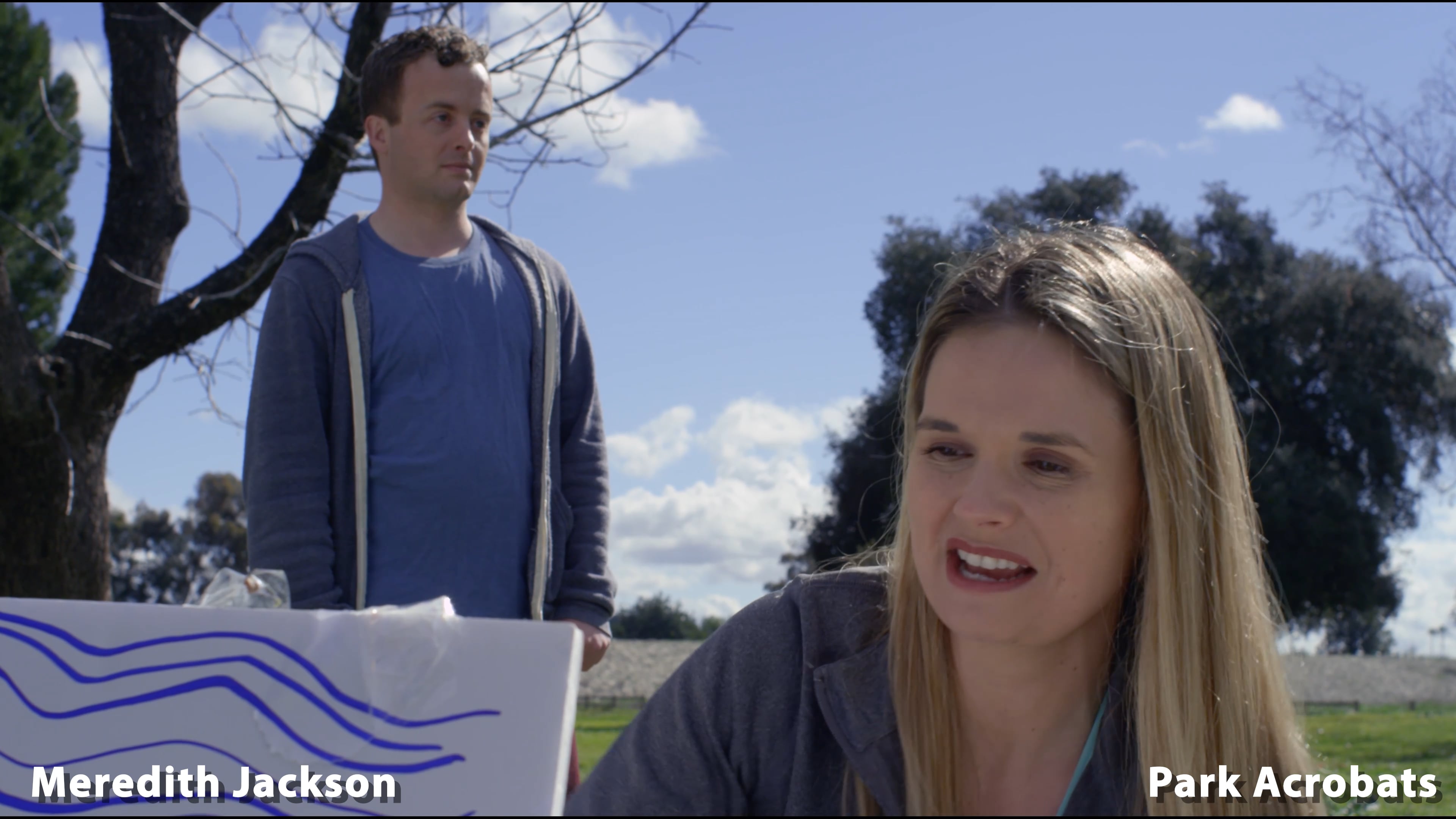 Park Acrobats - Meredith Jackson