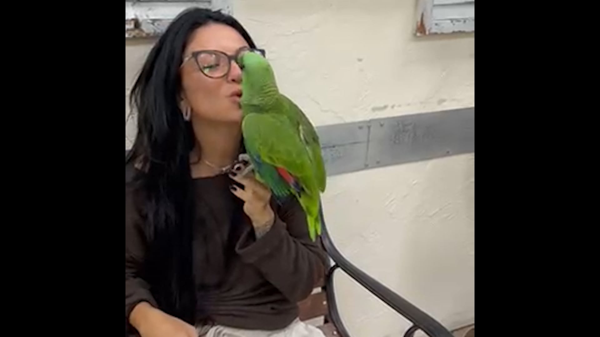 Yellow Nape Amazon Parrot