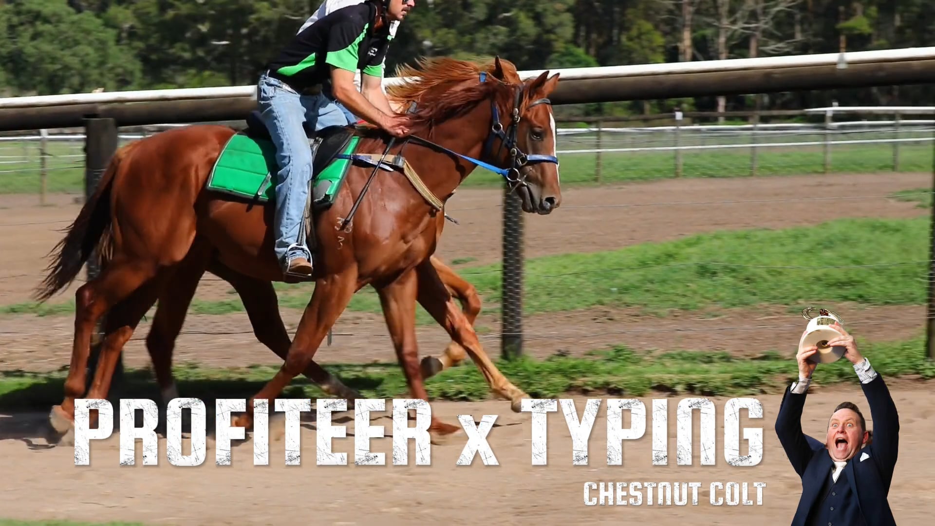 Profiteer x Typing colt 18.6.2025