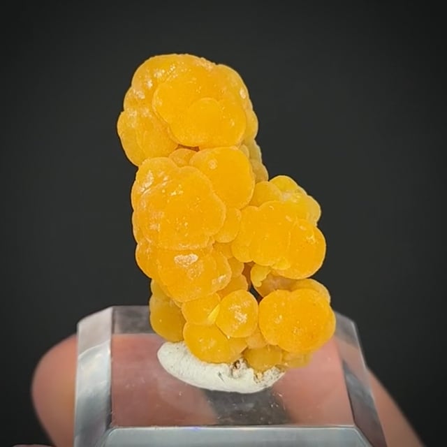 David Stoudt Collection Auction!