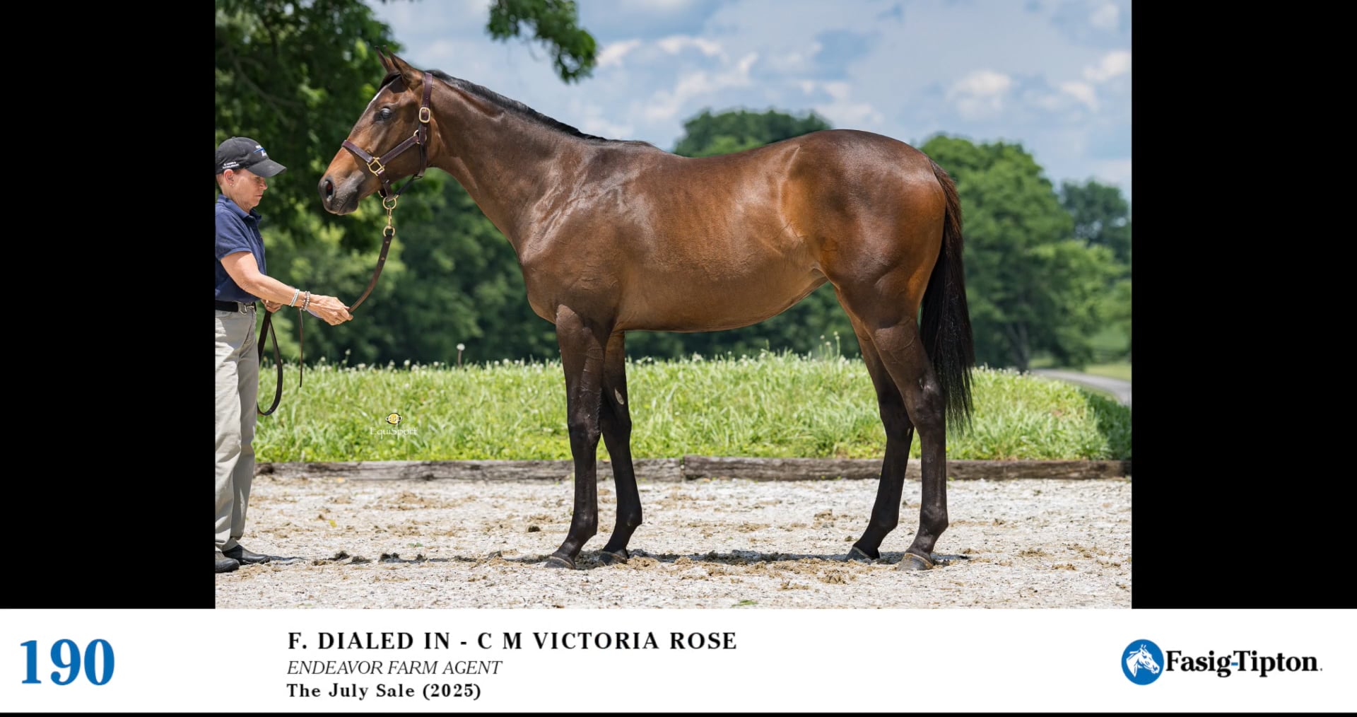 Hip 190 FT July Dialed In - CM Victoria Rose