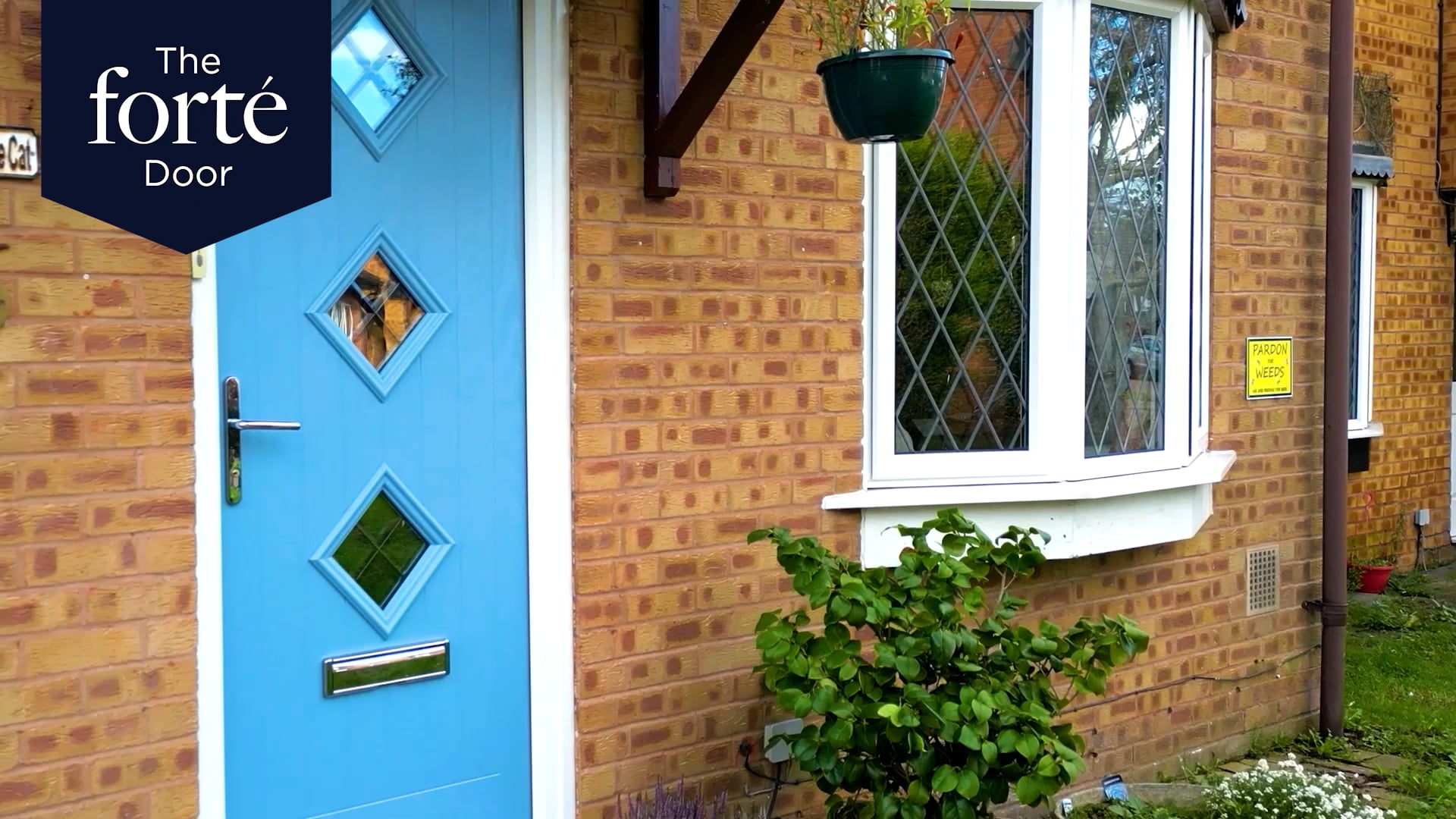 Forte Animation - Permaframe