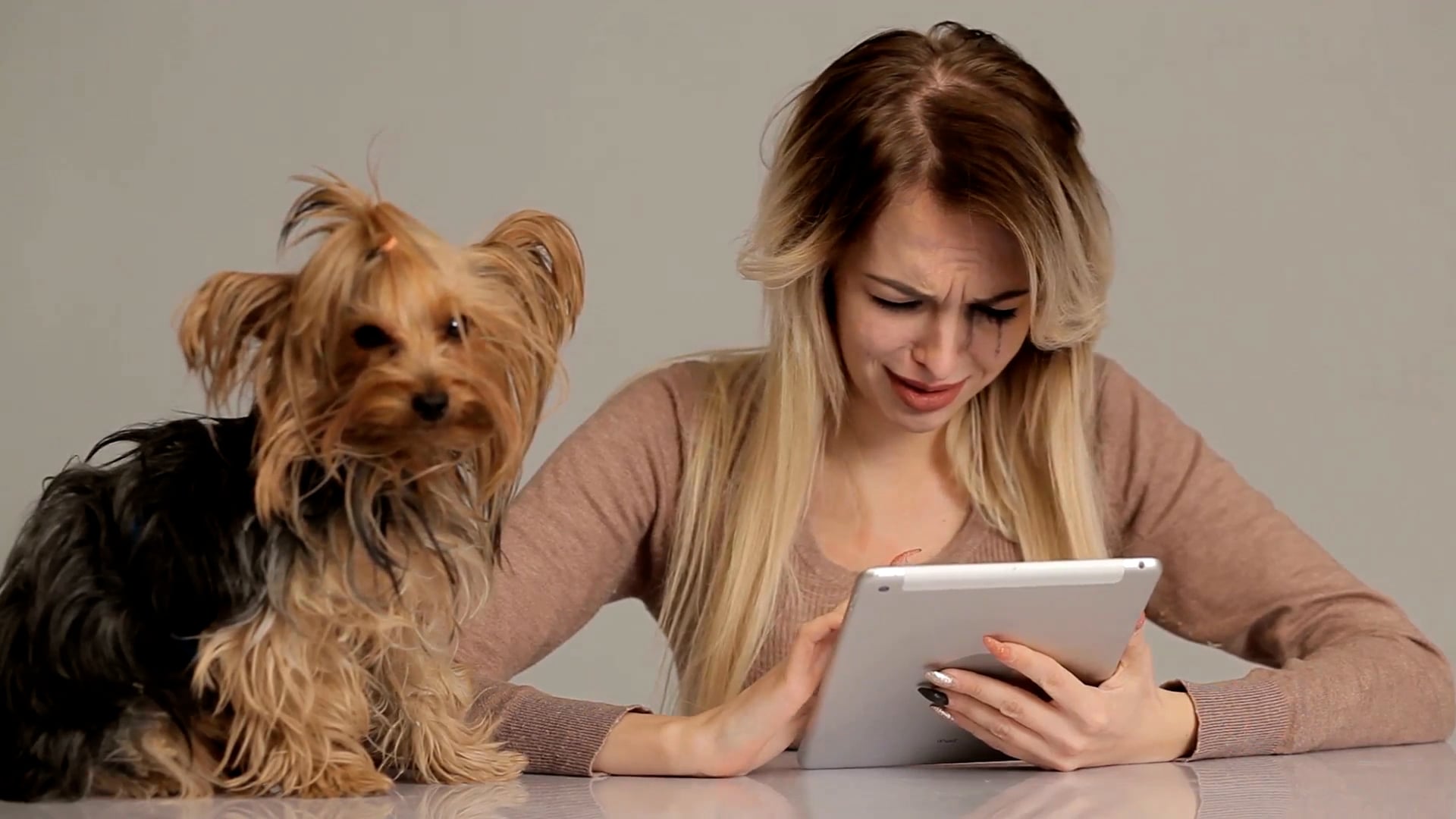 Petmatrix.ai How It Can Help Customers And Businesses