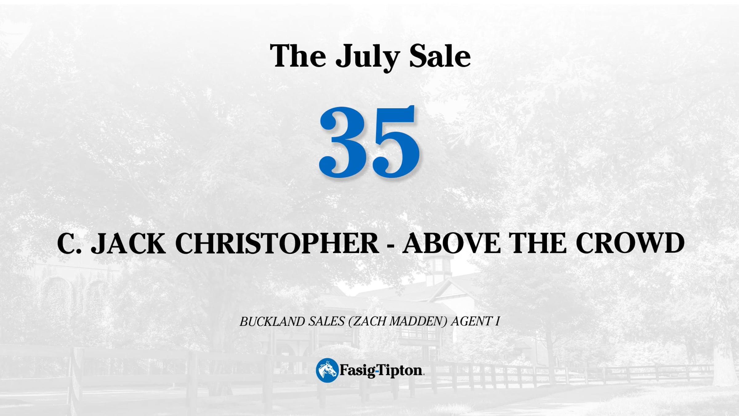 Hip 35 - FT July 2025 - colt by Jack Christopher ex. Above the Crowd