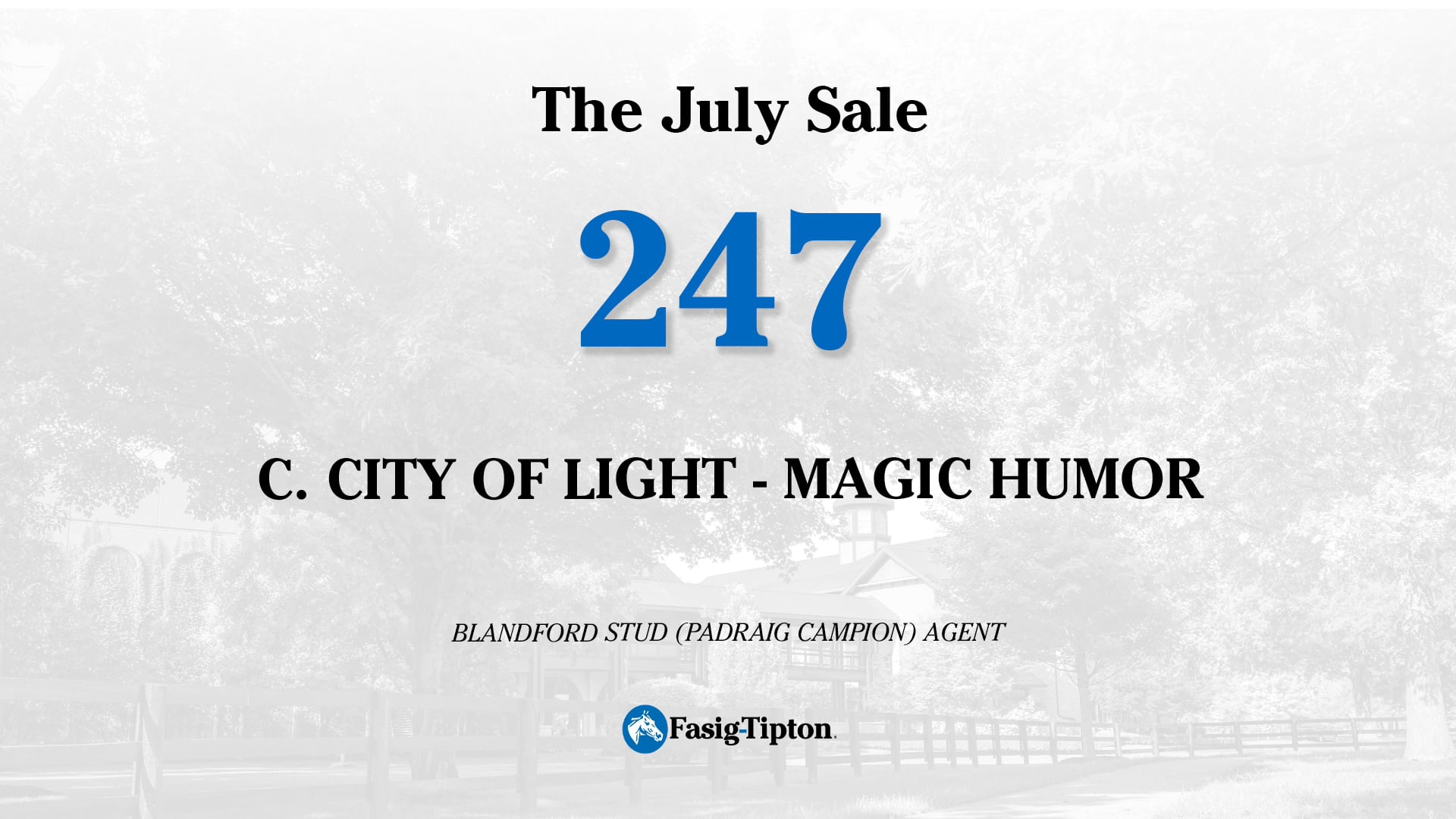 Hip 247 - FT July 2025 - colt by City of Light ex. Magic Humor