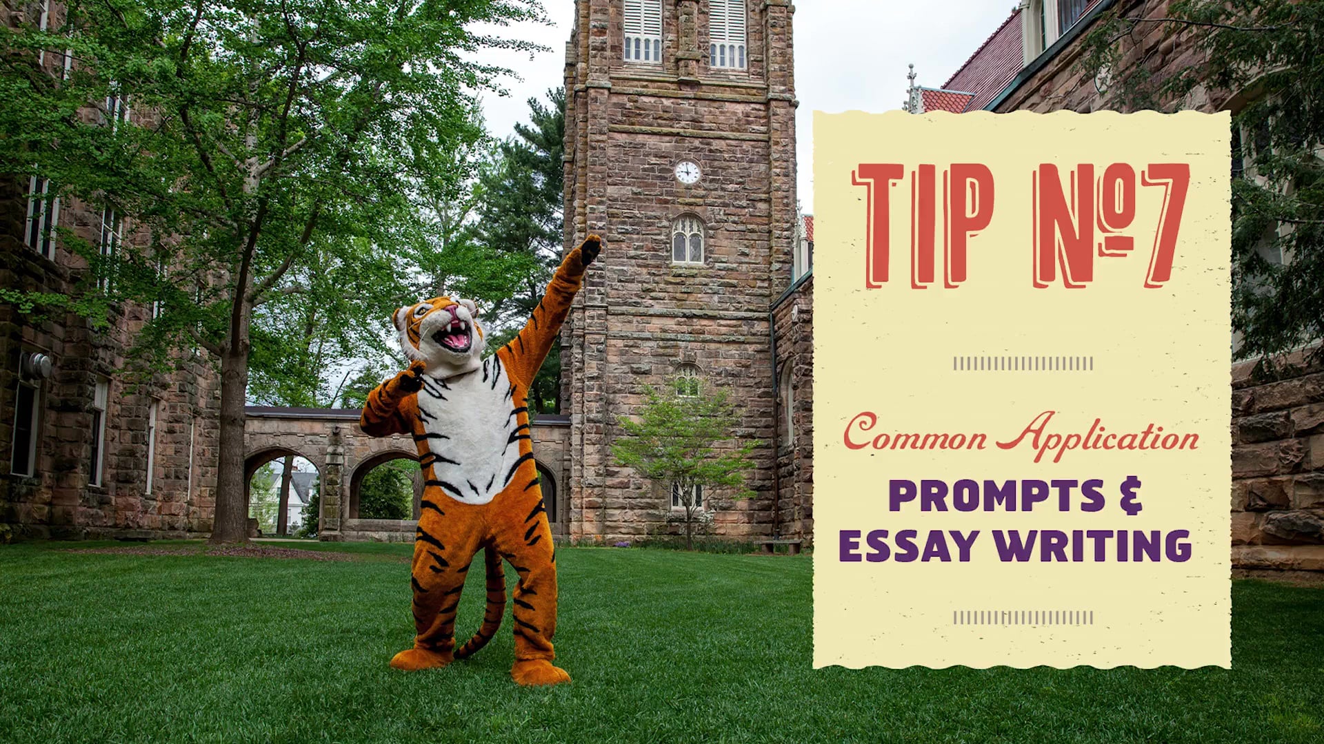 Tiger Tip #7: Common Application Prompts & Essay Writing