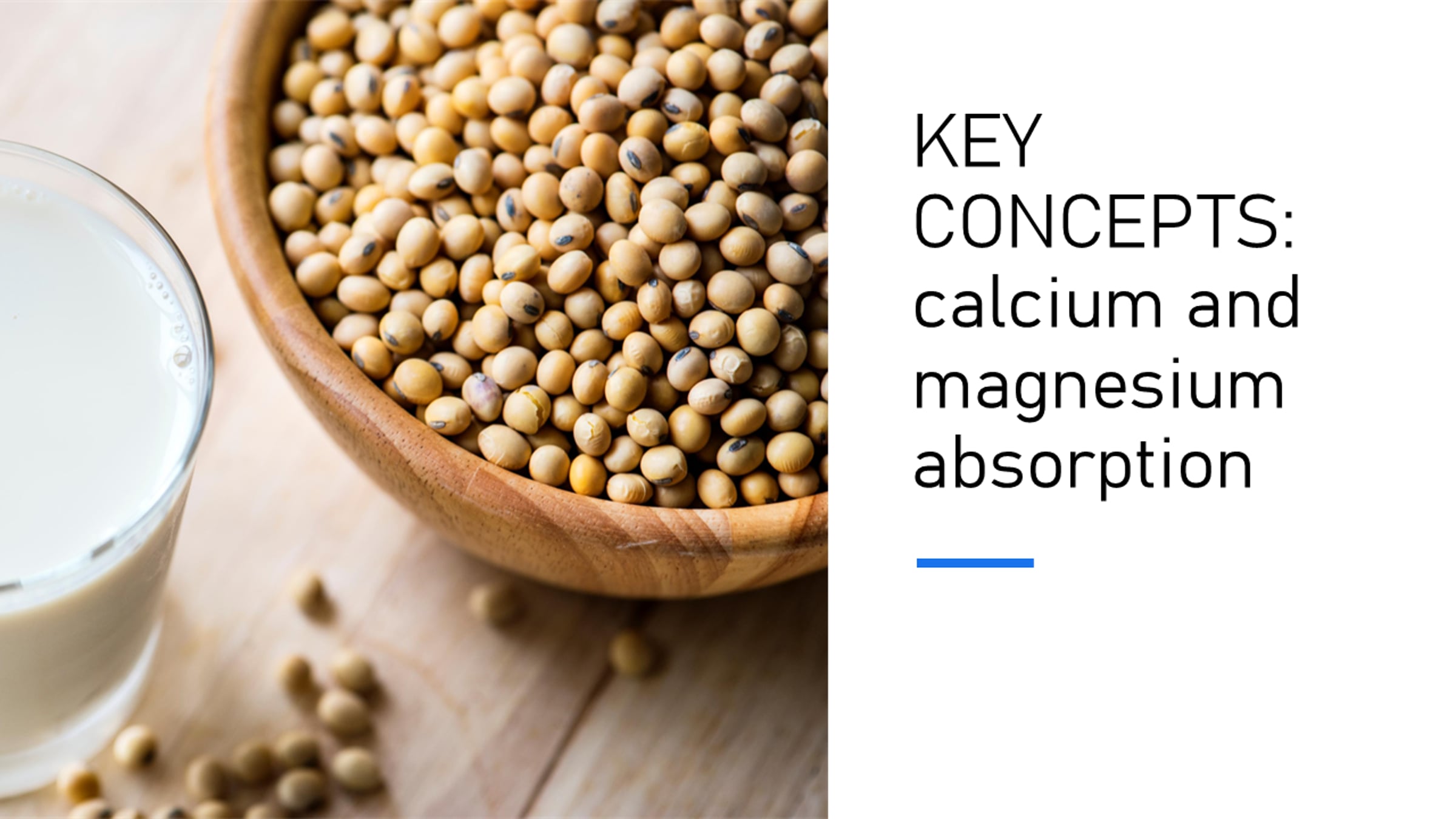 Key Concepts: Calcium and magnesium absorption