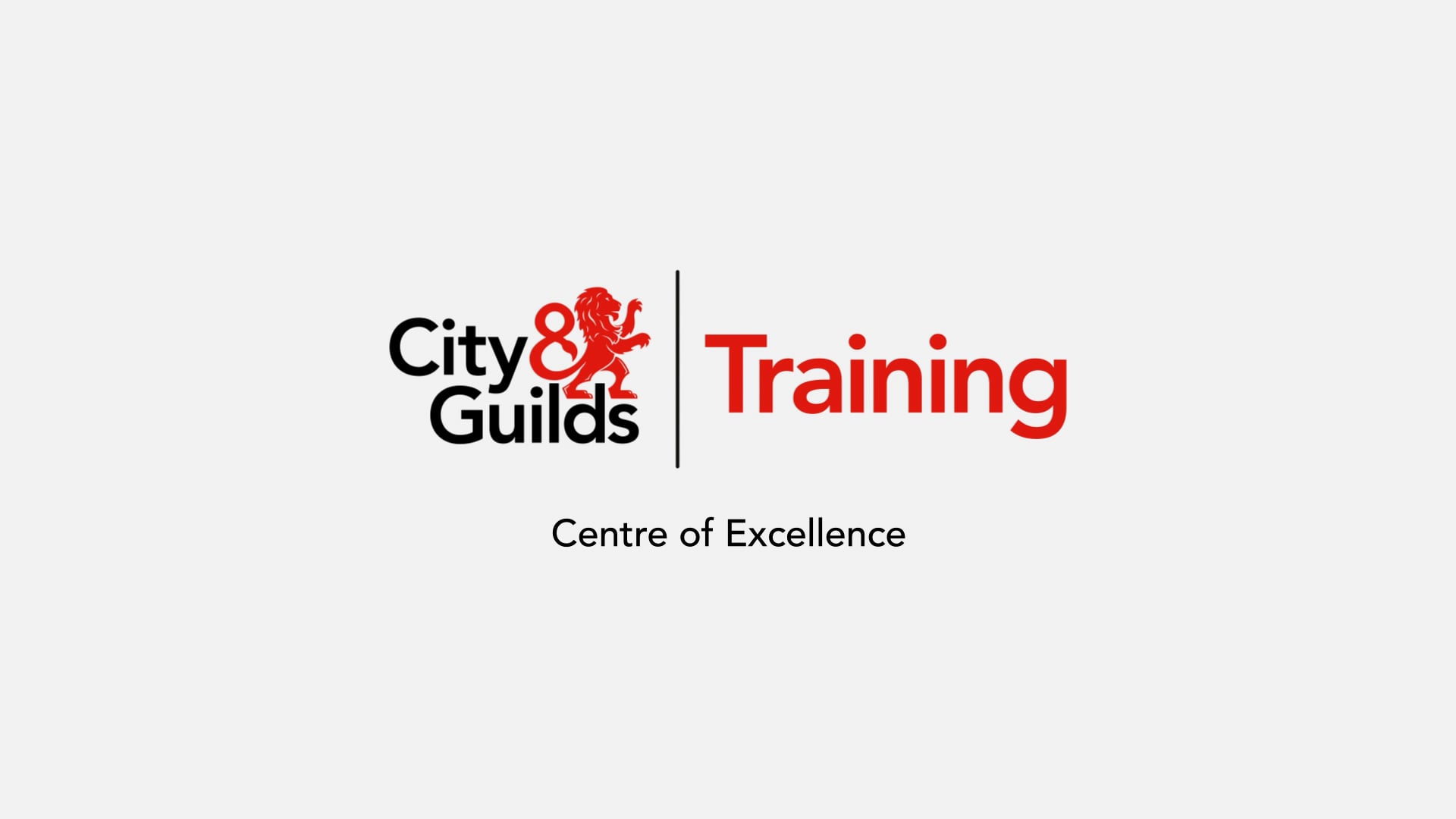 Centre of Excellence Animation