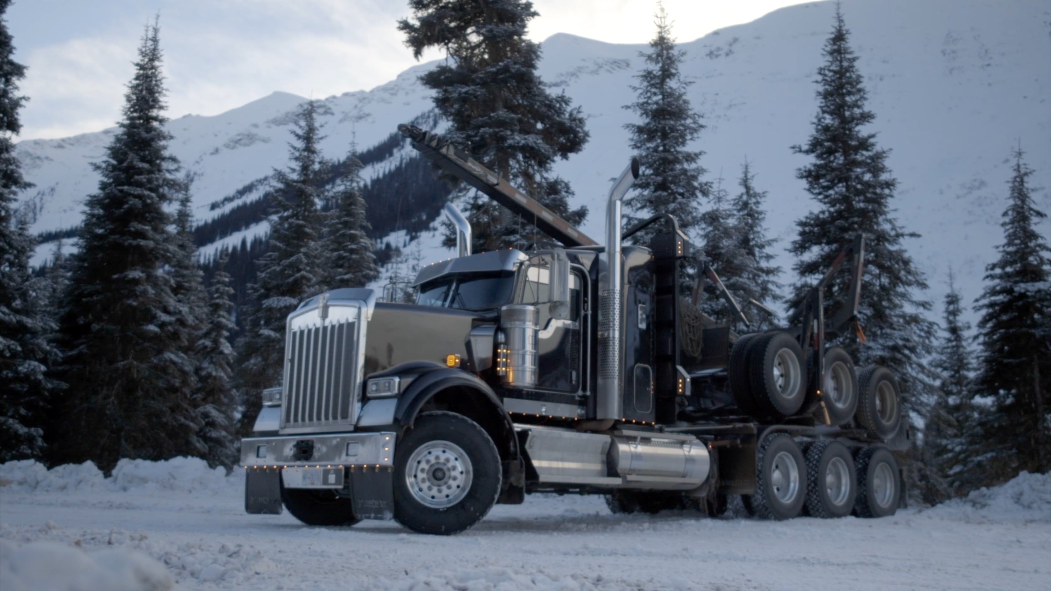 JF LOGGING - Directed and shot by THOMAS BOWERBANK - 4K Remastered
