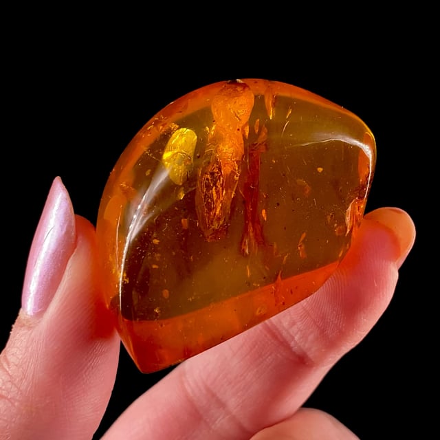 Amber with Cockroach and Fly inclusions | Sabana de la Mar, Hato Mayor ...