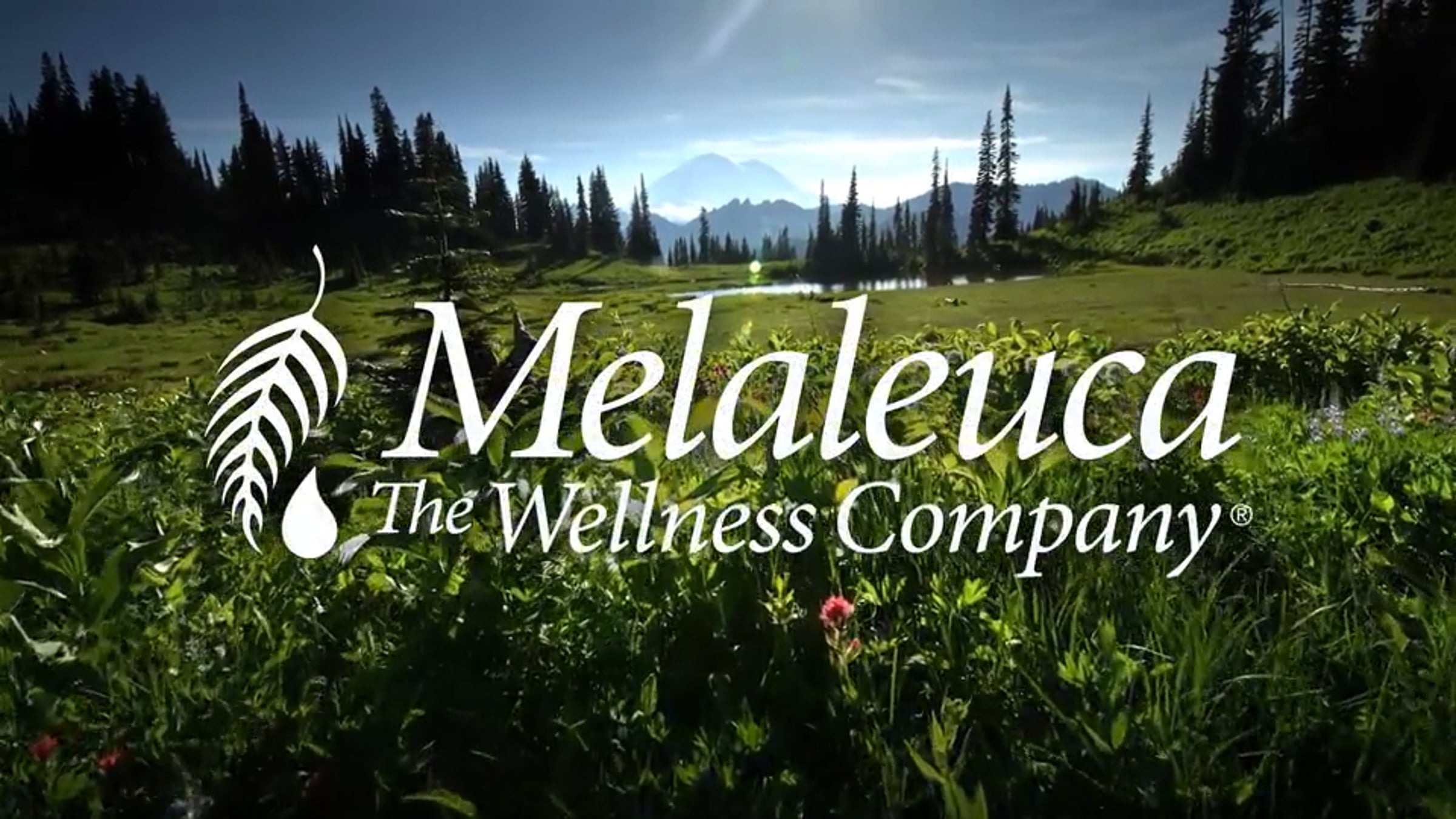 Melaleuca Introduction Video