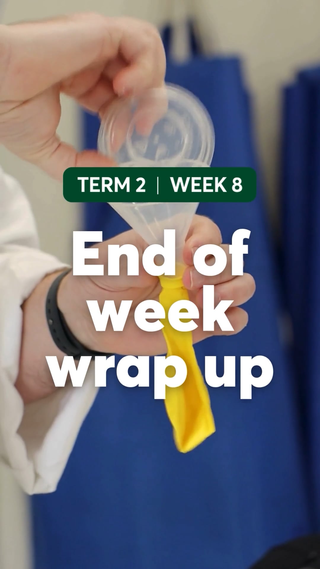 TERM 2 | WEEK 8 WRAP UP