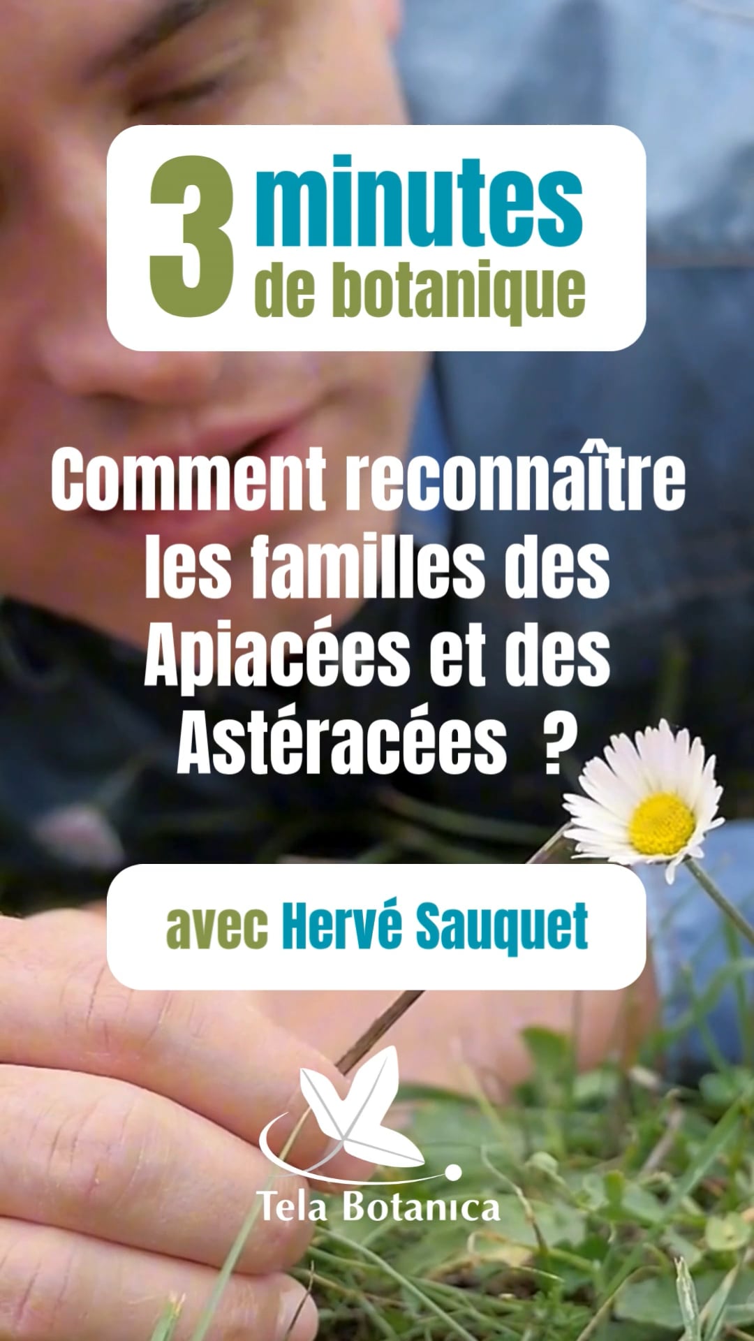 Comment reconnaître les plantes de la famille des Apiacées et des ...