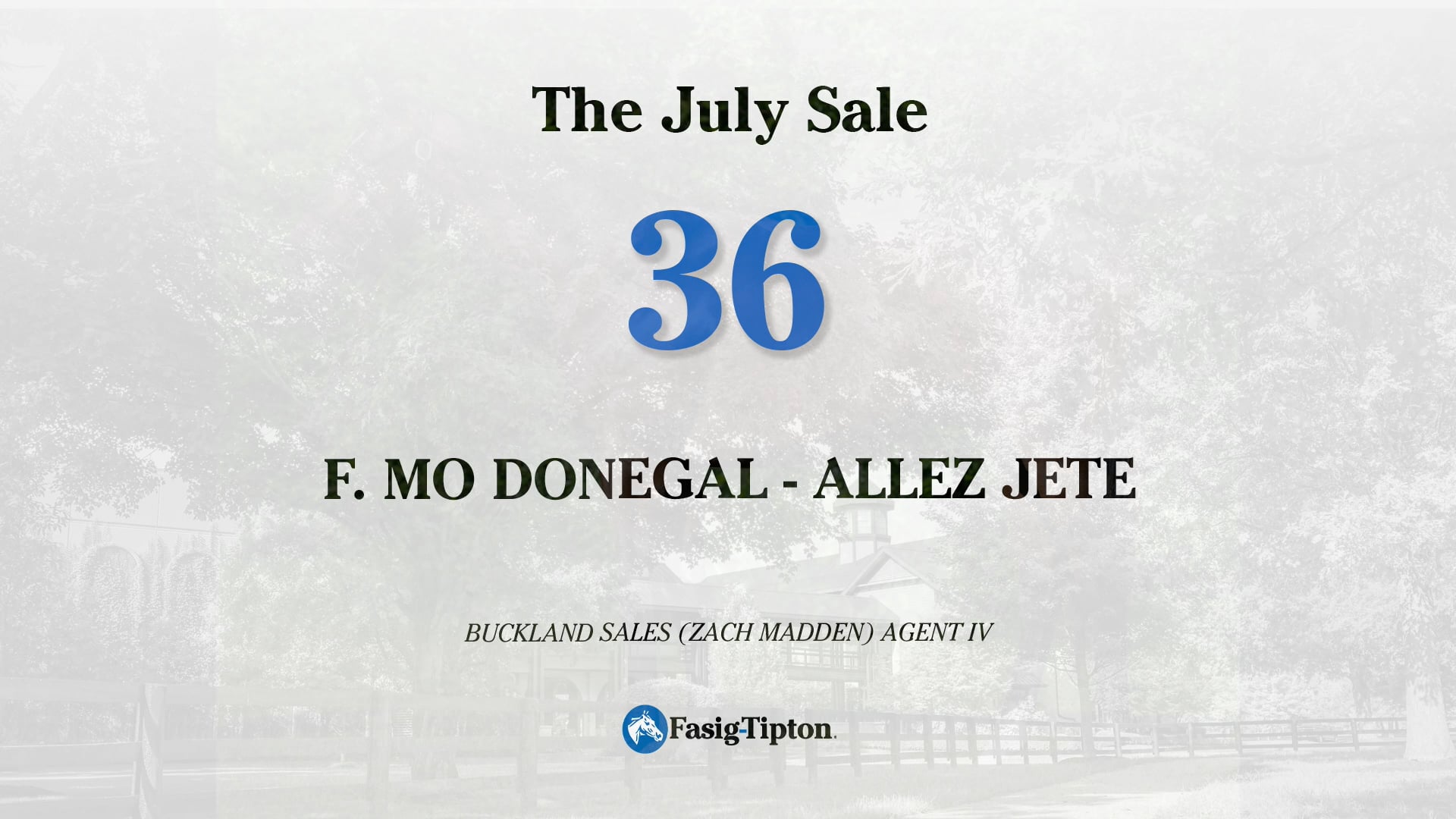 Hip 36 - FT July Sale - filly by Mo Donegal - Allez Jete