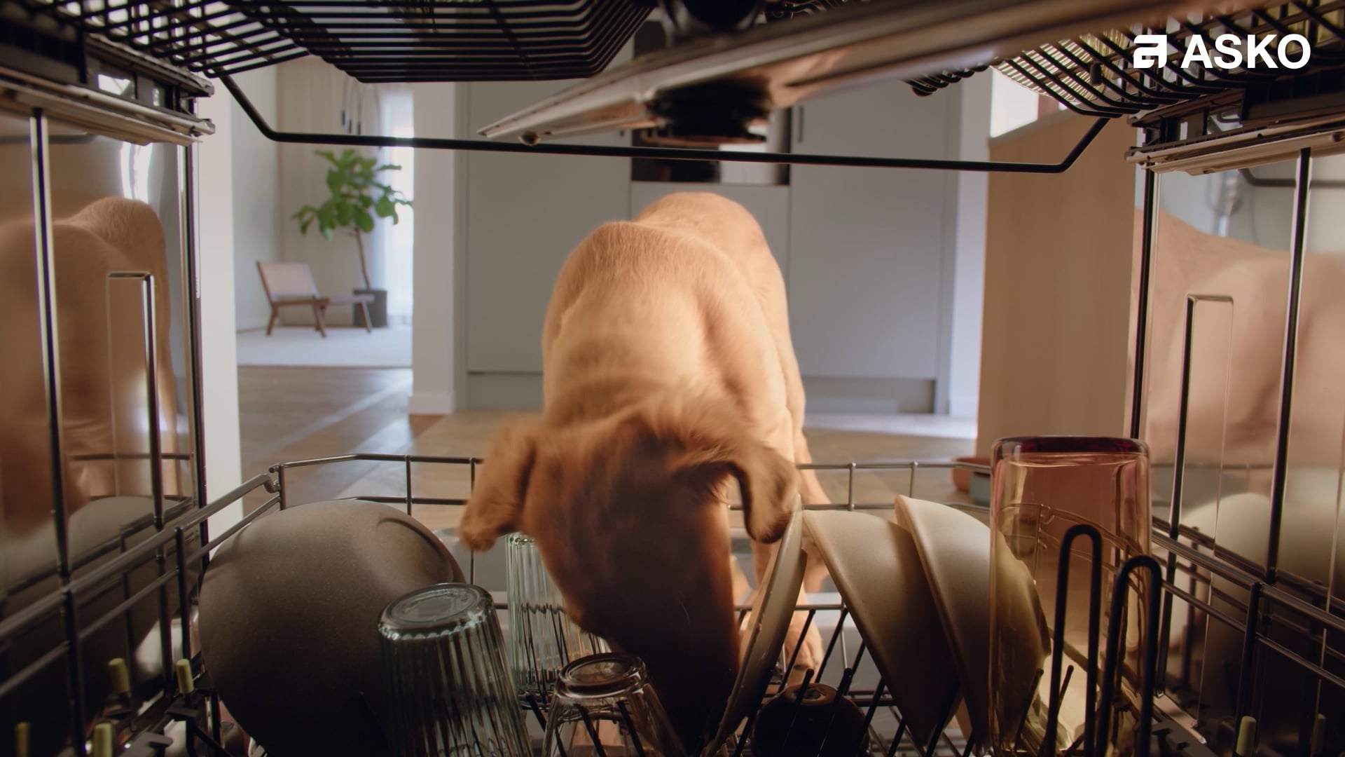 ASKO - AP0163 ASKO Video Ads - The Puppy 16x9 v1 on Vimeo