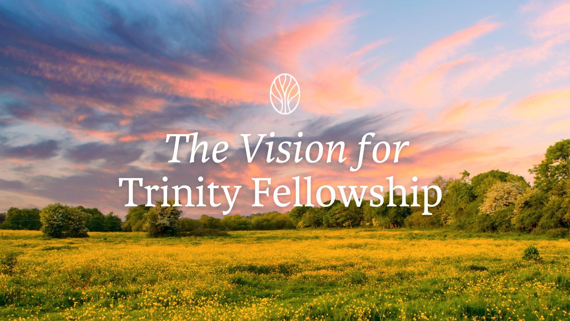 Trinity Fellowship Vision - Part 2 | Trinity Fellowship Church
