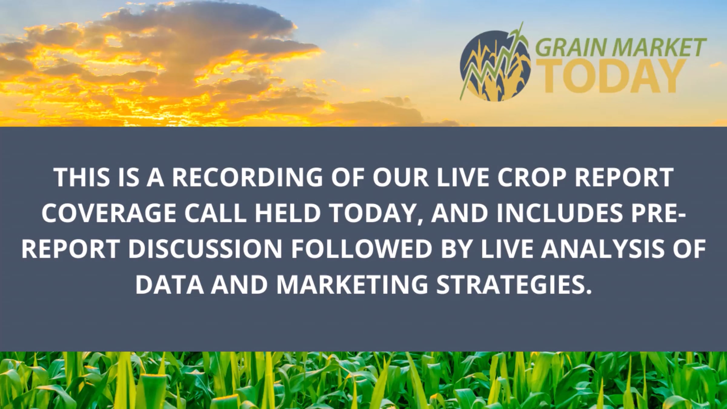 Live Crop Report 6.30.25
