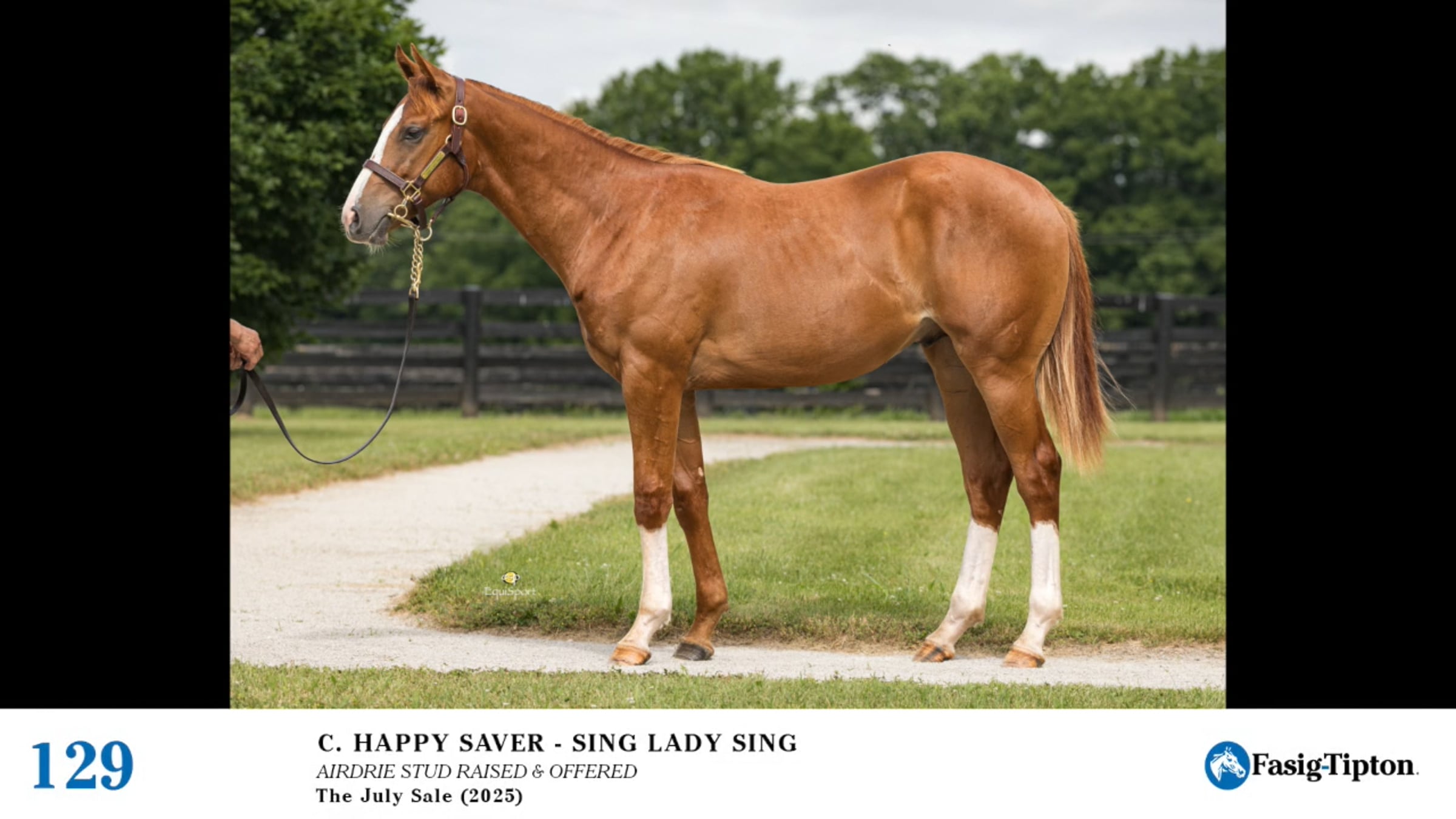 Hip 129 FT July Sing Lady Sing '24