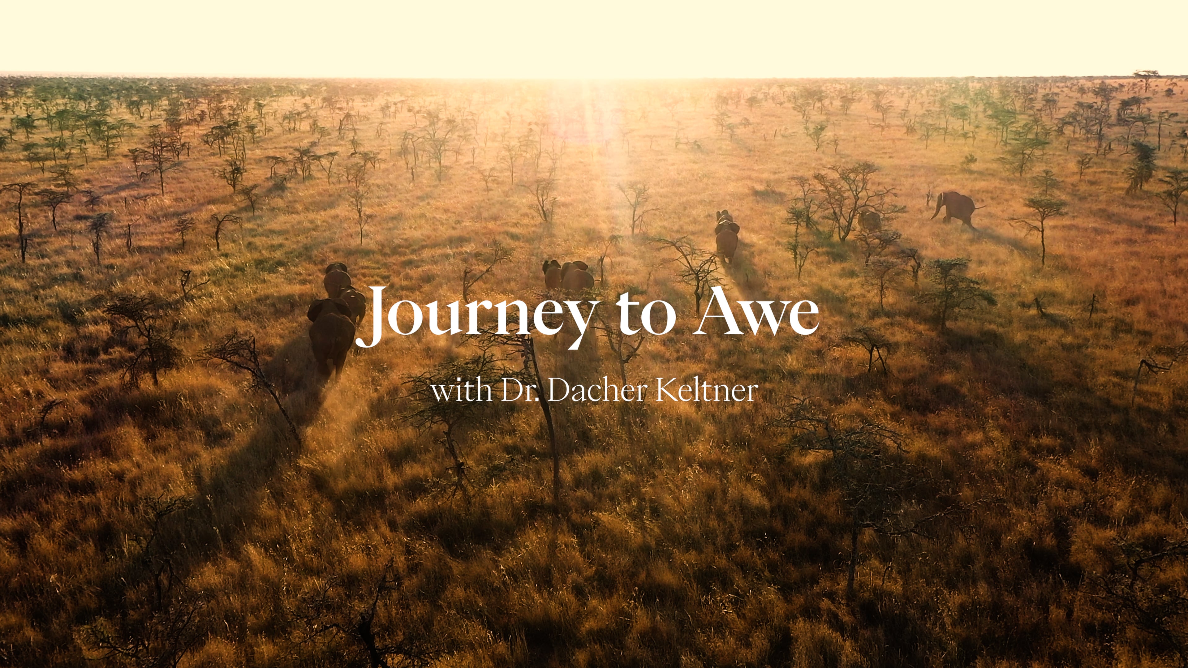 A Journey to Awe with Prof. Dacher Keltner