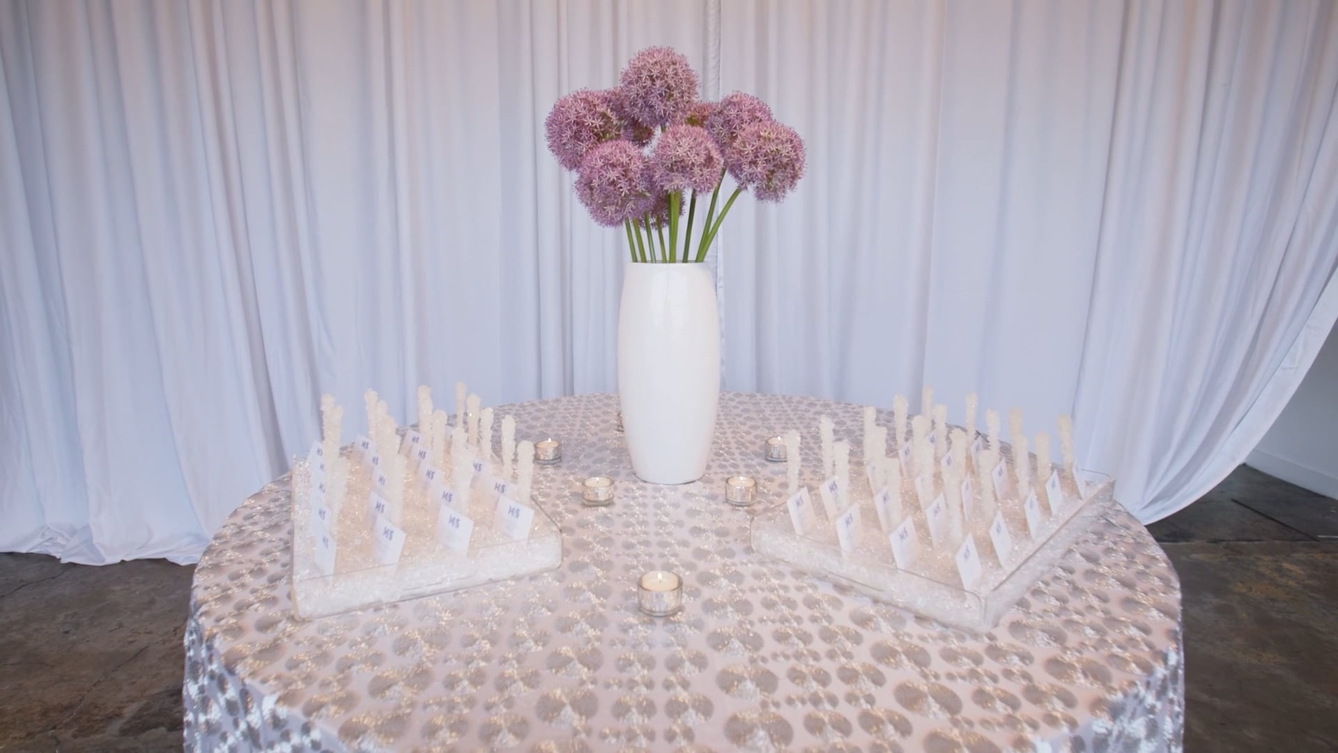 Maddie Segal's Bat Mitzvah - Full Party Edit VIDEO